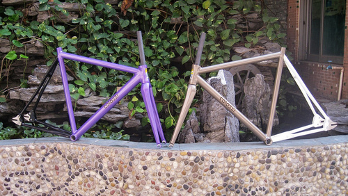 Colossi: Accelerator Low Pros | The Radavist | A group of individuals ...