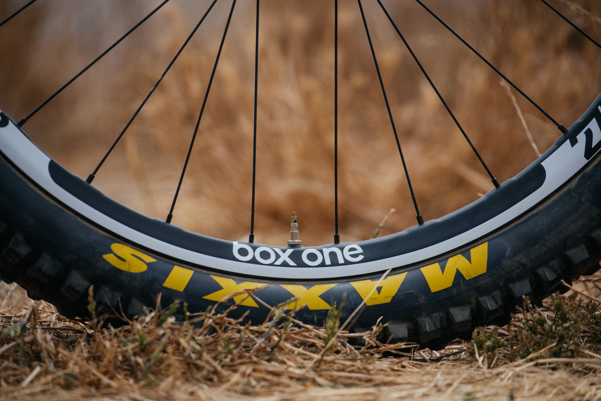 Desert Tan Stinner Frameworks Tunnel Hardtail Review with Box ...