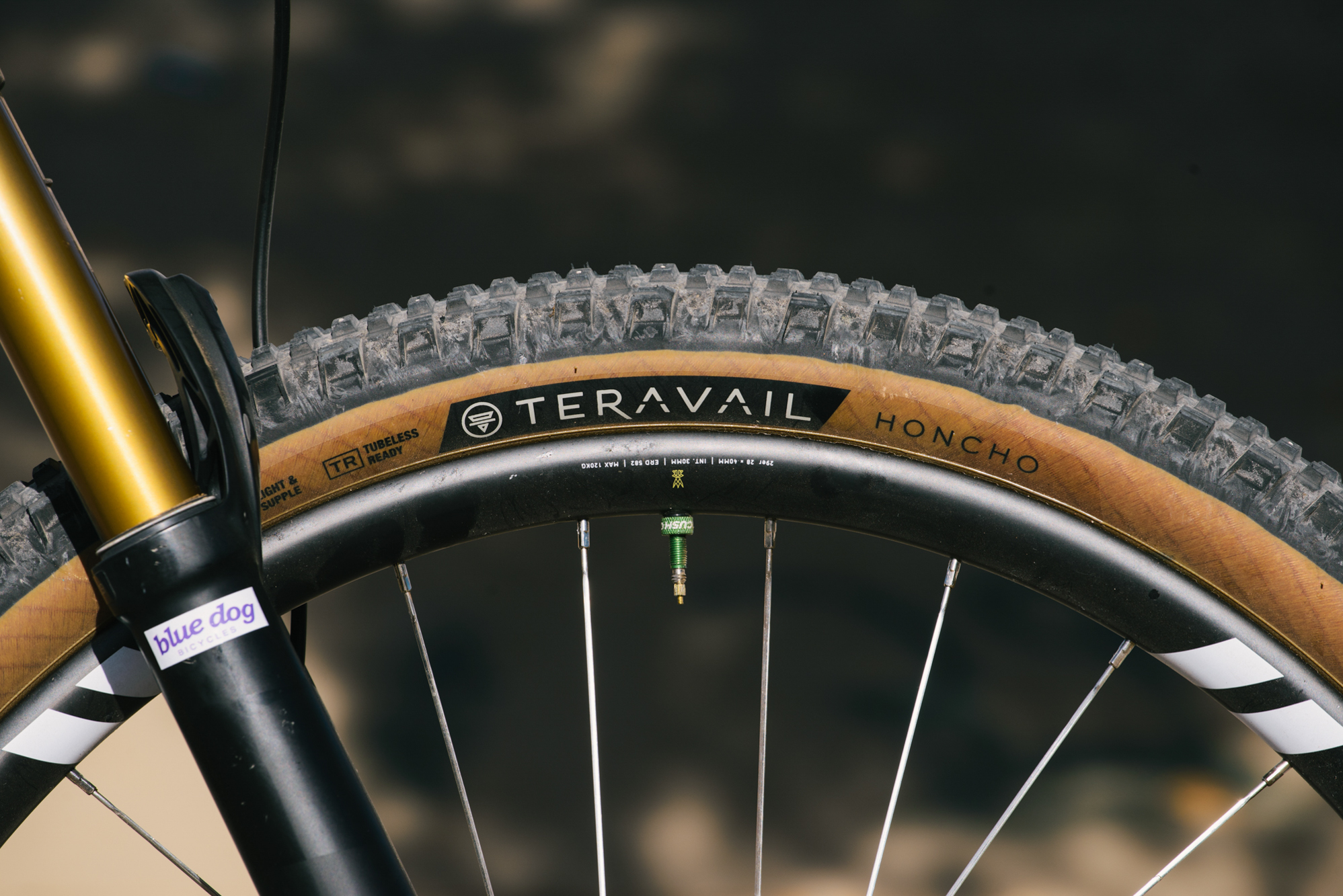 Moné Bikes La Roca V2: Braze Jah Part Deux – Spencer Harding | The ...