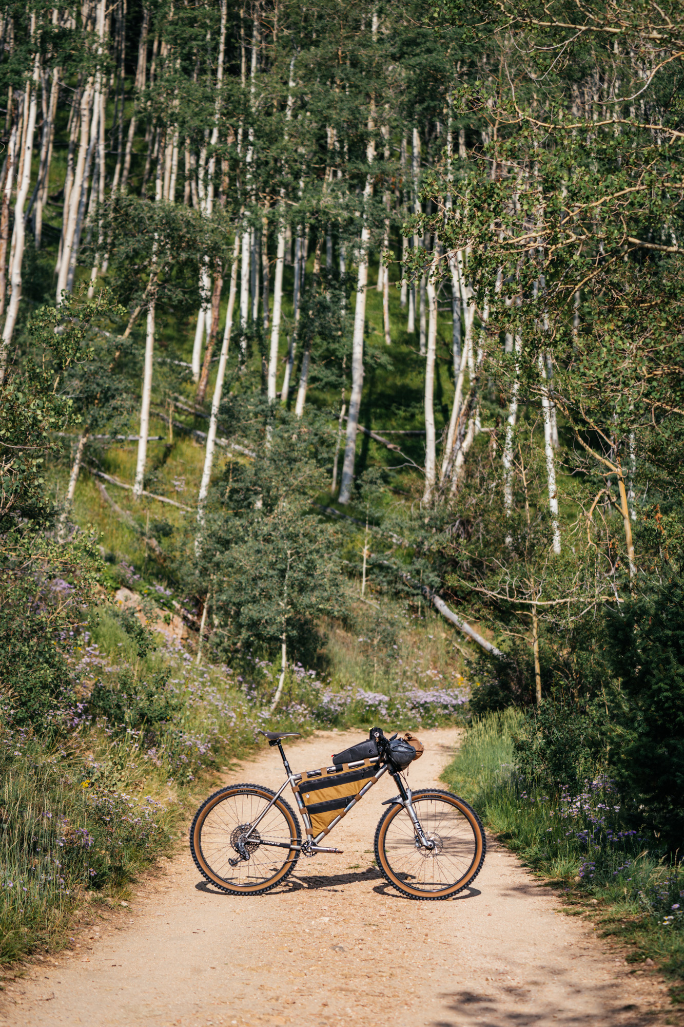 John’s Moots Womble 29er Loaded for the San Juan Hut Telluride to Moab ...