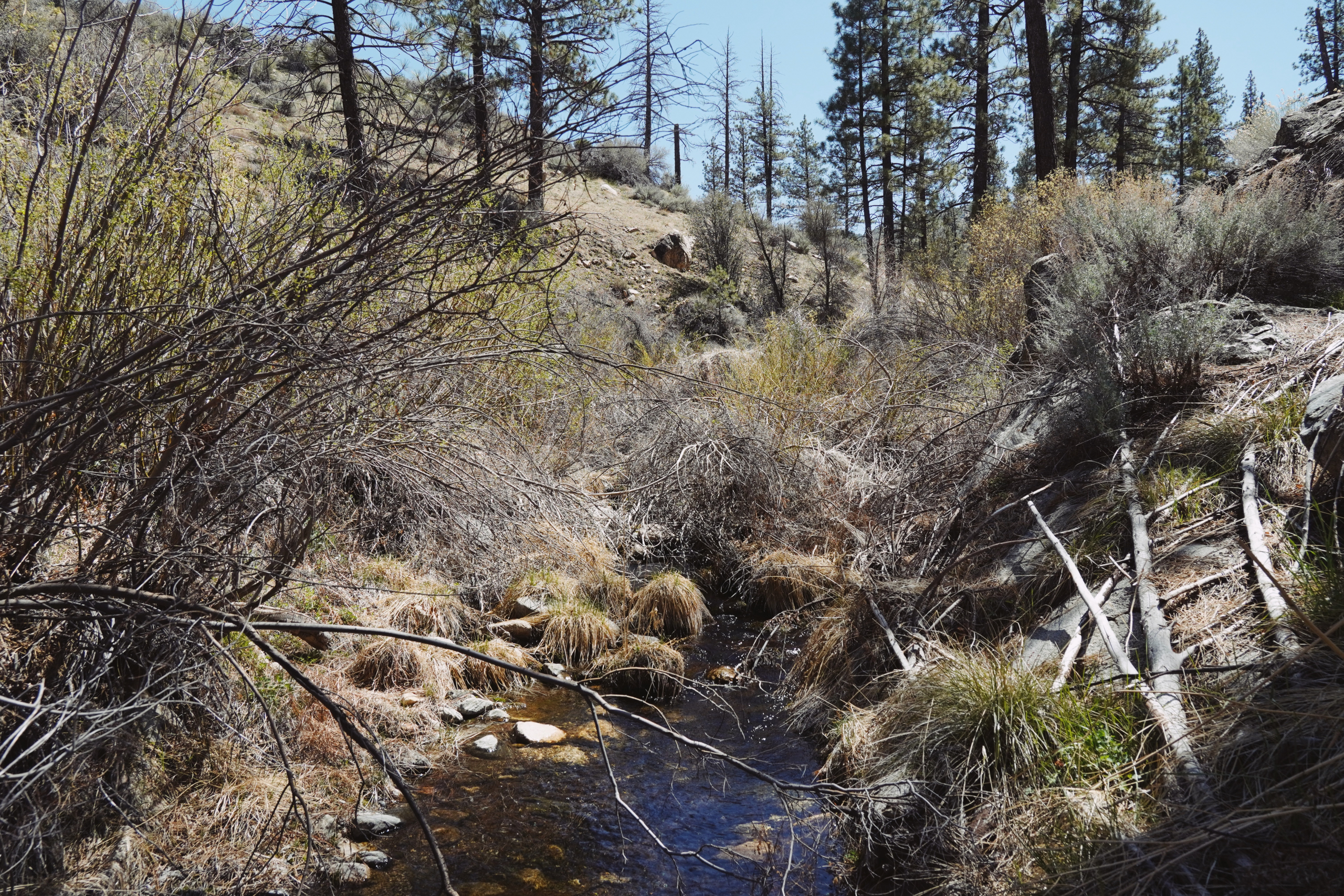 So Close, Yet So Far Away: Bikefishing and Solitude in the Los Padres ...