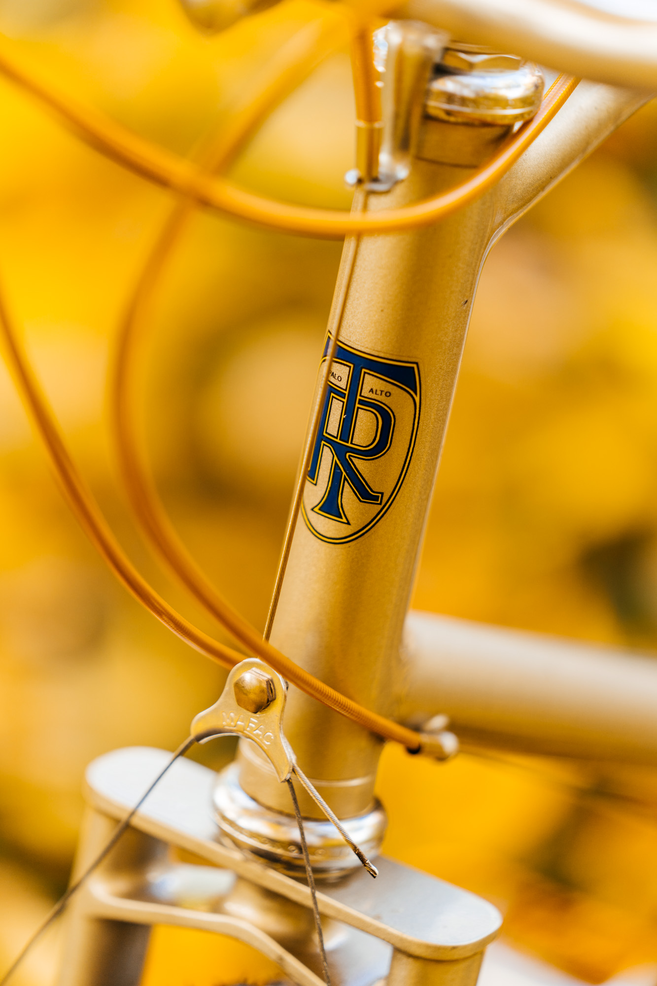 Vintage Bikes Are Compounded Stories: John’s 1980 No Serial Ritchey ...