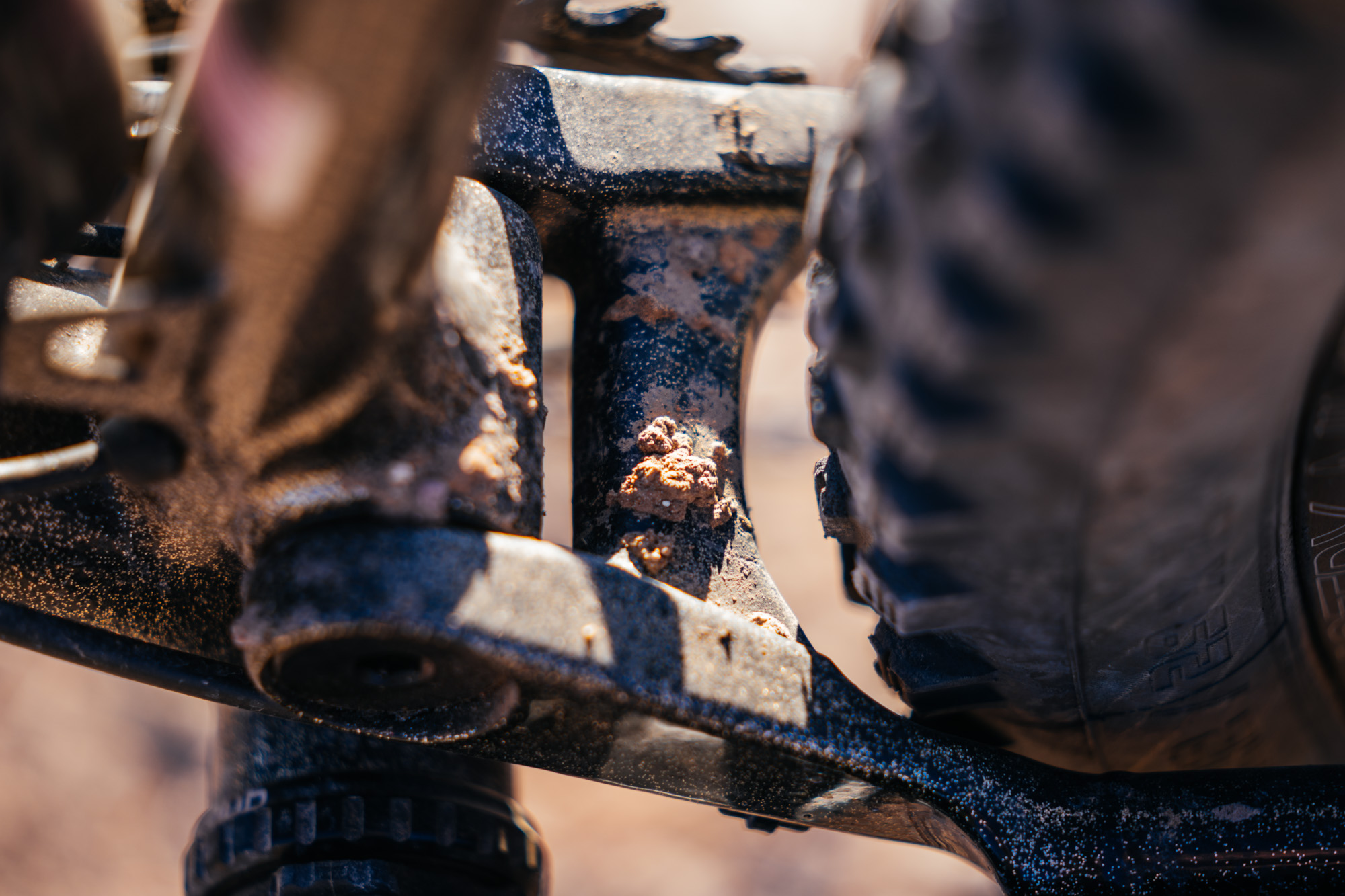 An Evolved Steel Trail Bike: REEB Cycles SST Full Suspension Review ...