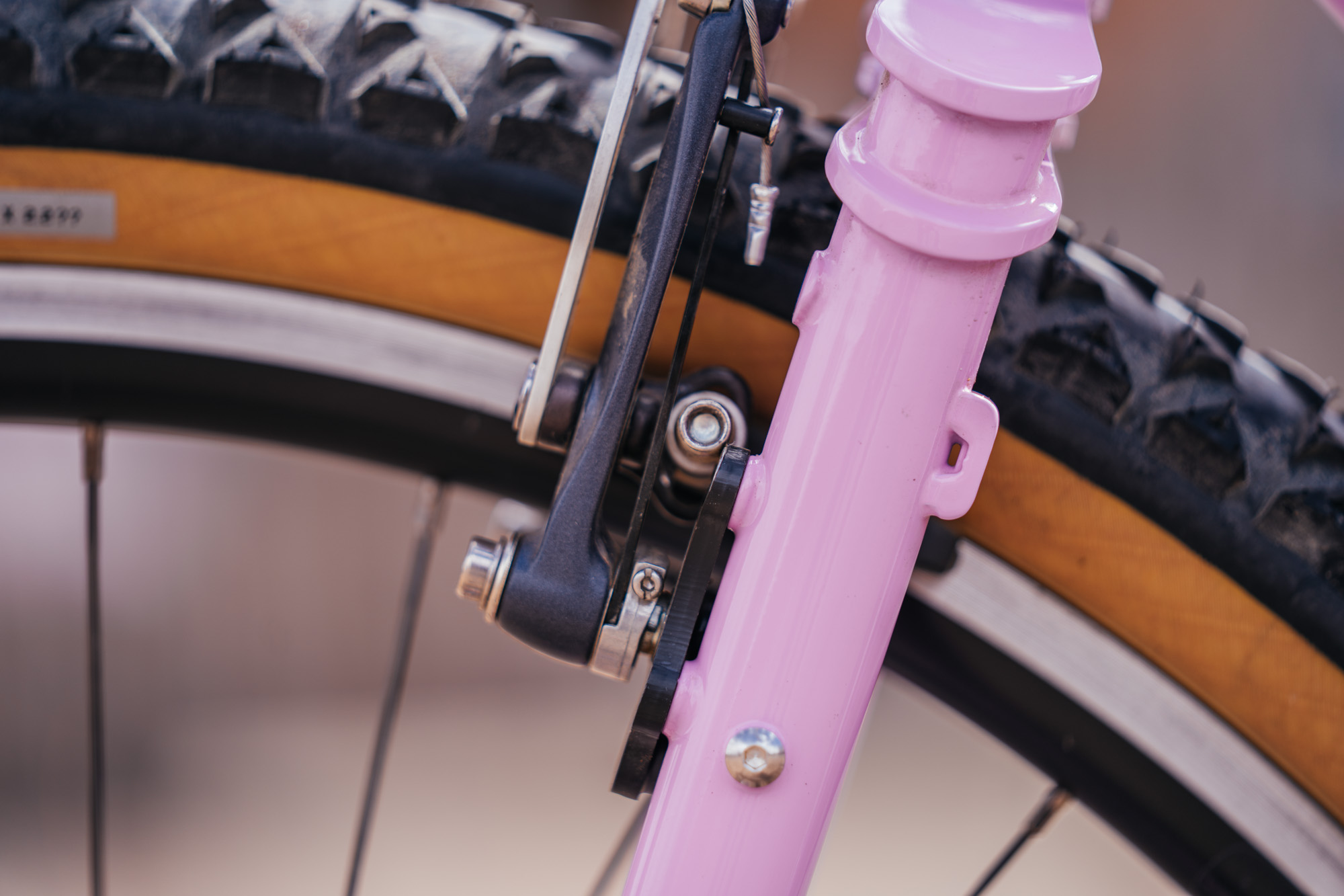 An Early Look at the Monē Bikes Hachita Prototype All-Rounder: A ...