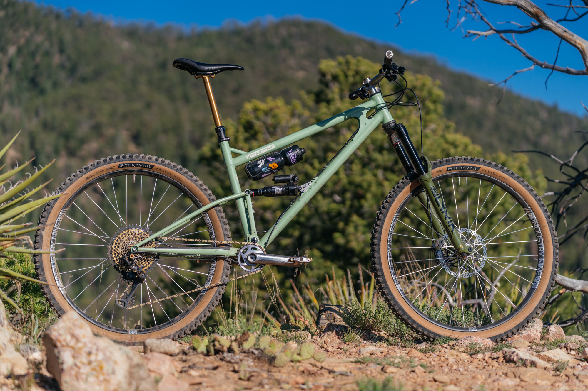 A Little Goes a Long Way: Starling Cycles Murmur V3 Review – John ...