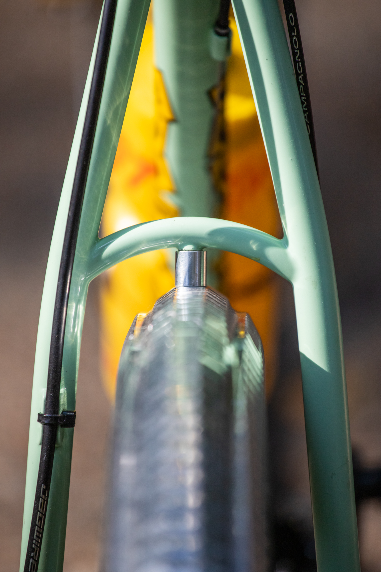 The Tale of the Humongous Rock Lobster – Morgan Taylor | The Radavist ...