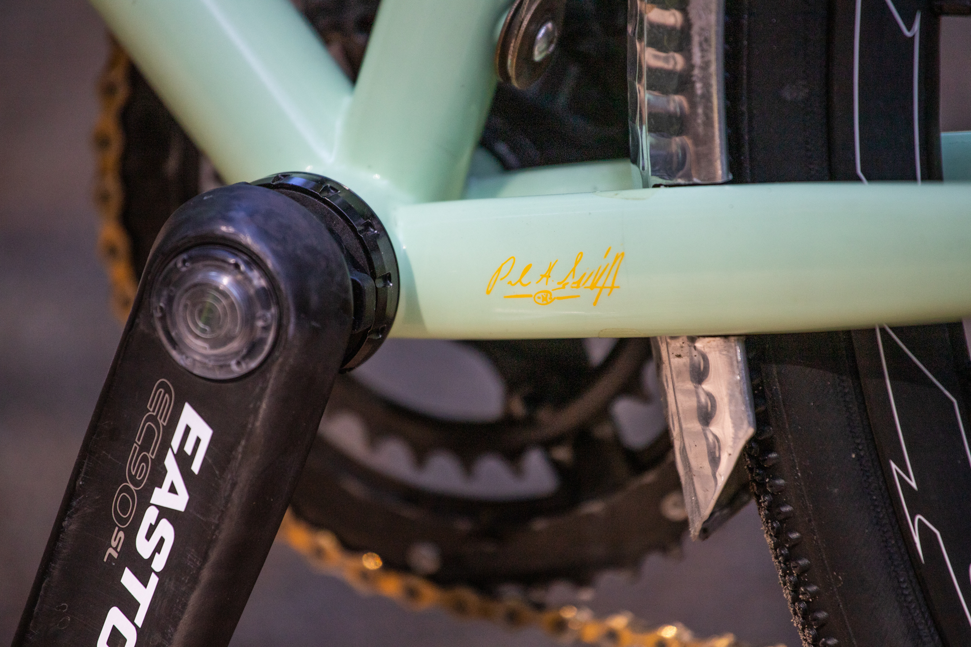 The Tale of the Humongous Rock Lobster – Morgan Taylor | The Radavist ...