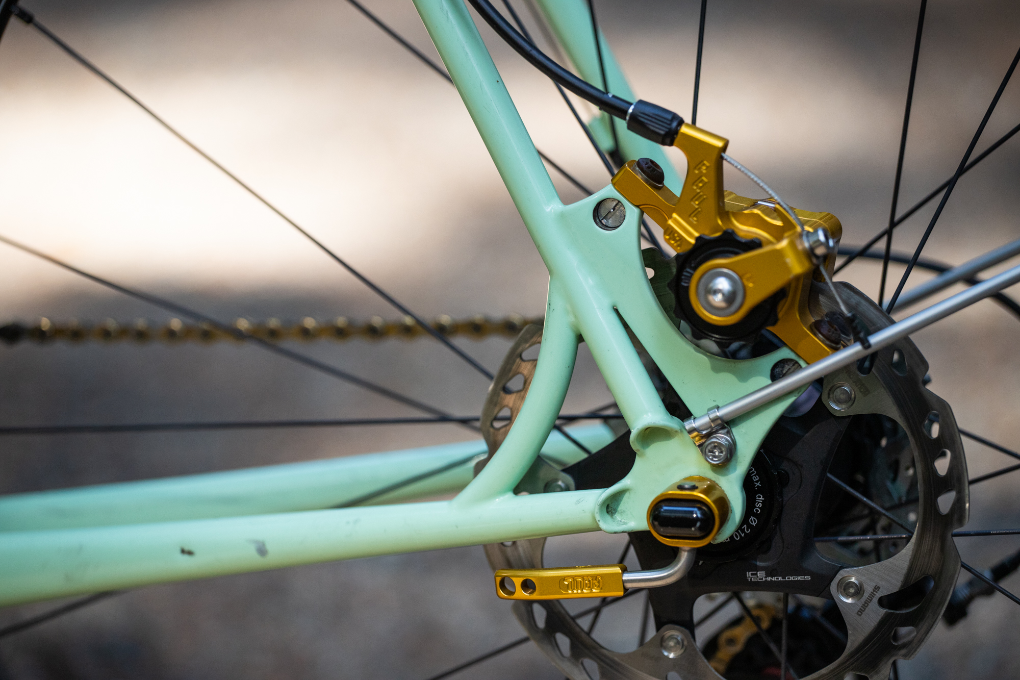 The Tale of the Humongous Rock Lobster – Morgan Taylor | The Radavist ...