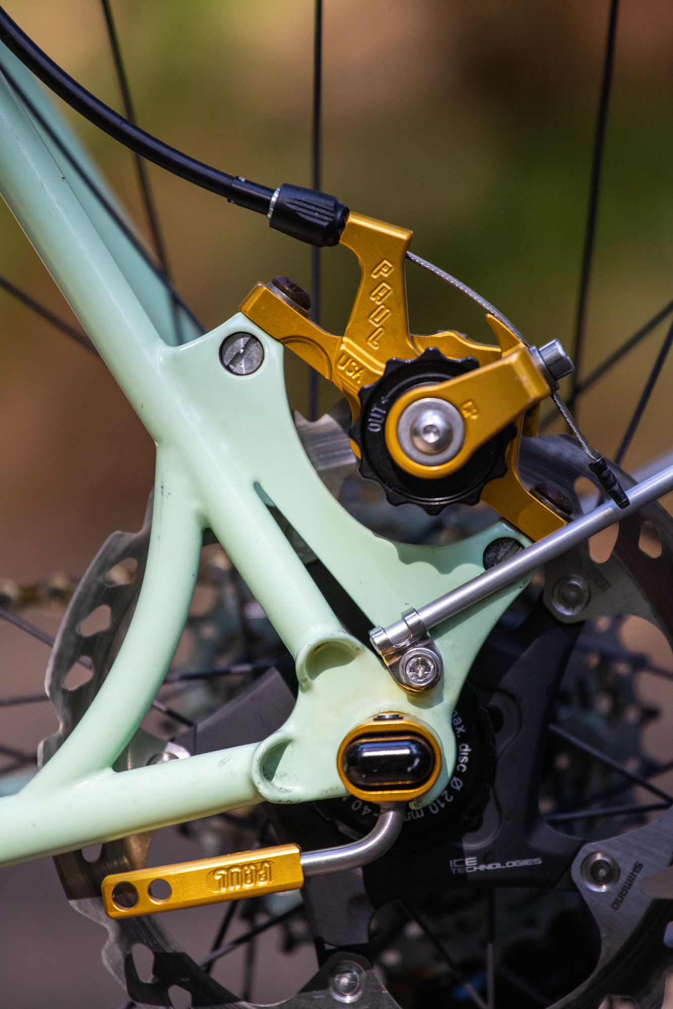 The Tale of the Humongous Rock Lobster – Morgan Taylor | The Radavist ...