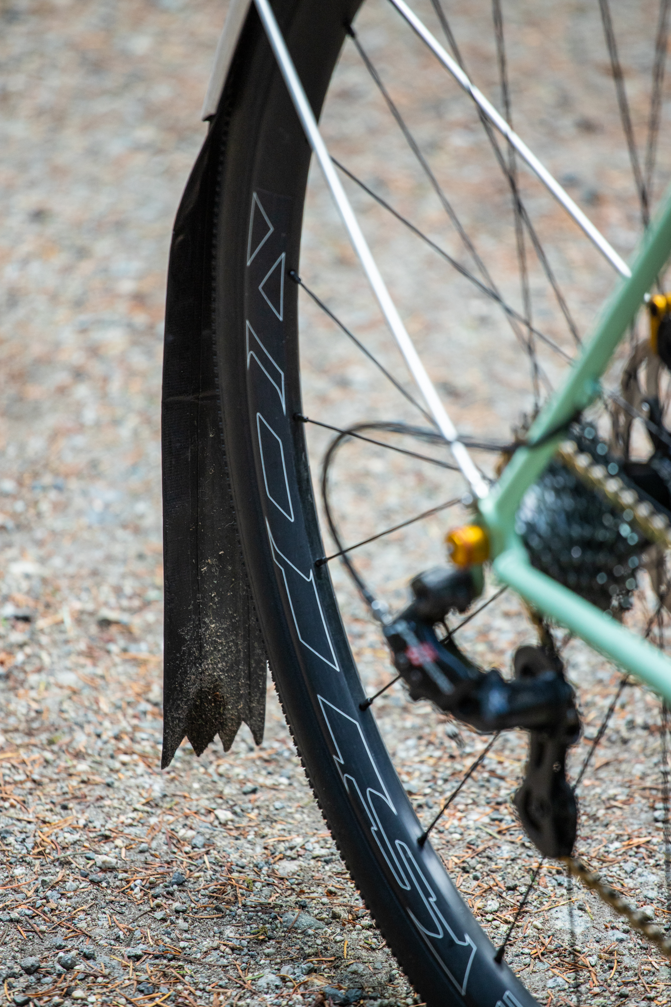 The Tale of the Humongous Rock Lobster – Morgan Taylor | The Radavist ...