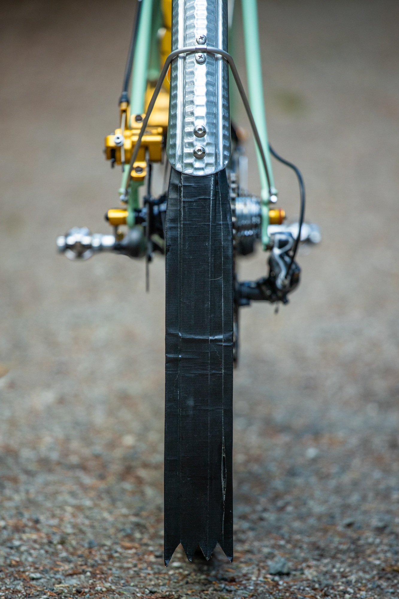 The Tale of the Humongous Rock Lobster – Morgan Taylor | The Radavist ...