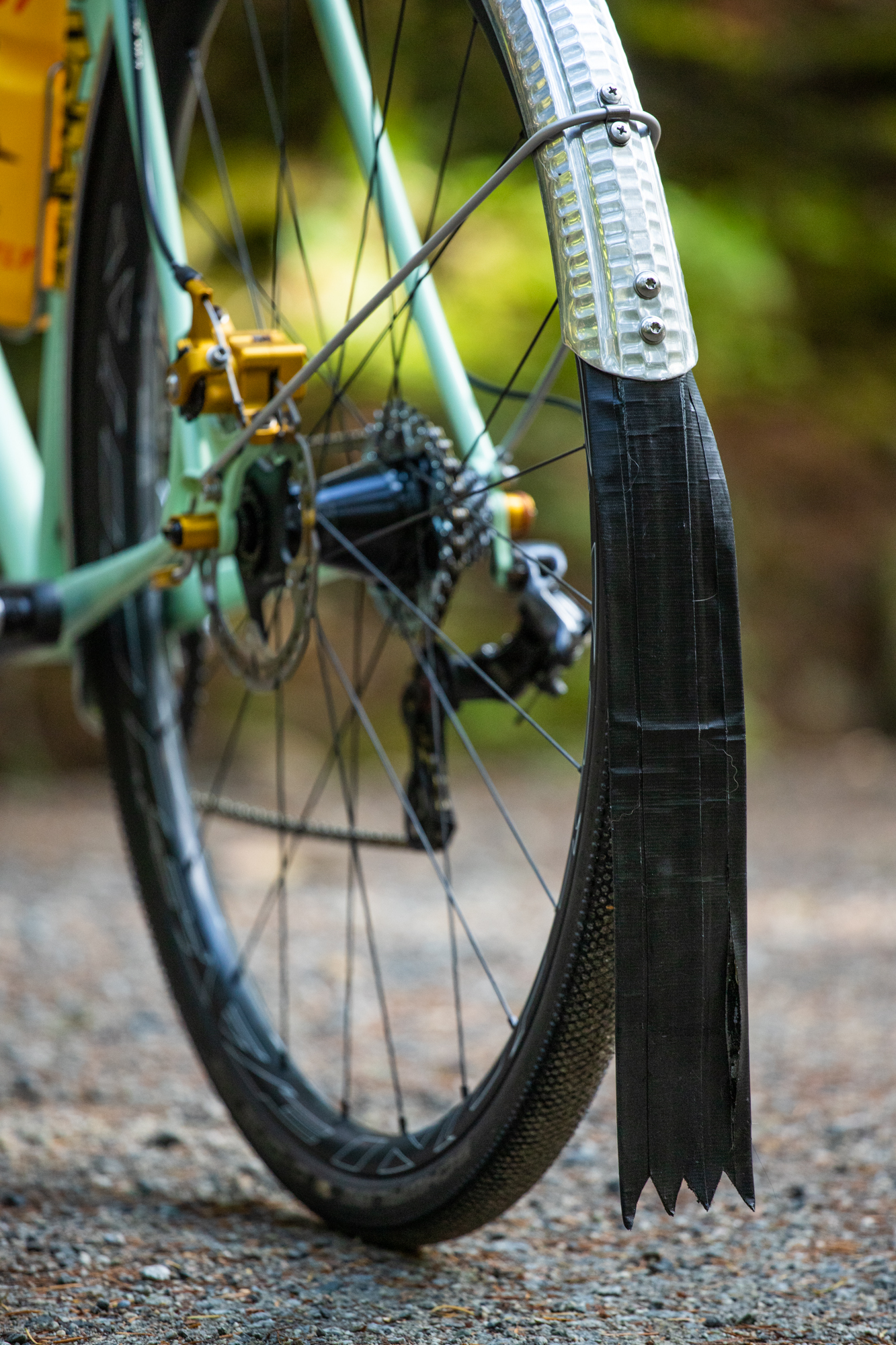 The Tale of the Humongous Rock Lobster – Morgan Taylor | The Radavist ...