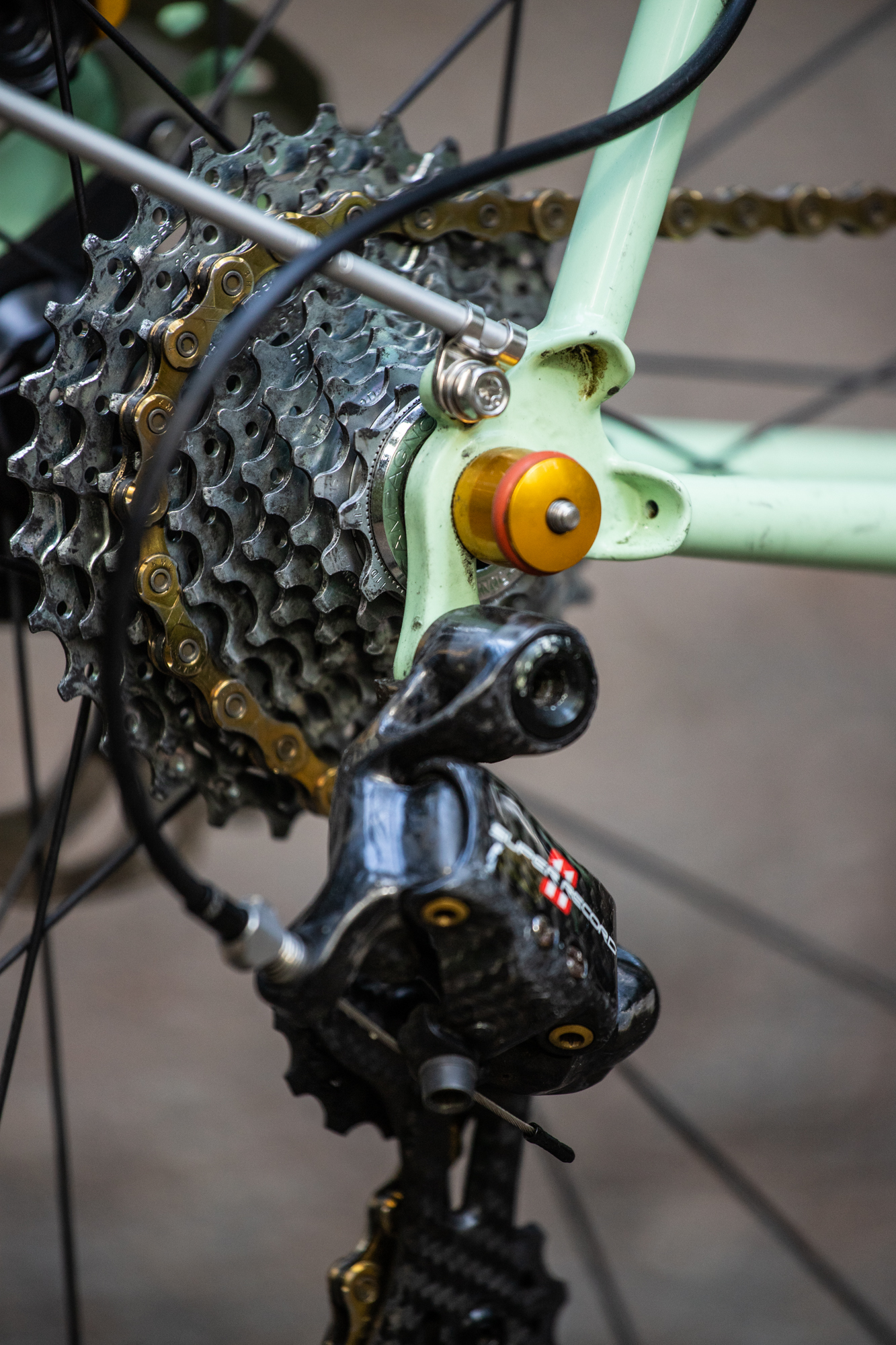 The Tale of the Humongous Rock Lobster – Morgan Taylor | The Radavist ...