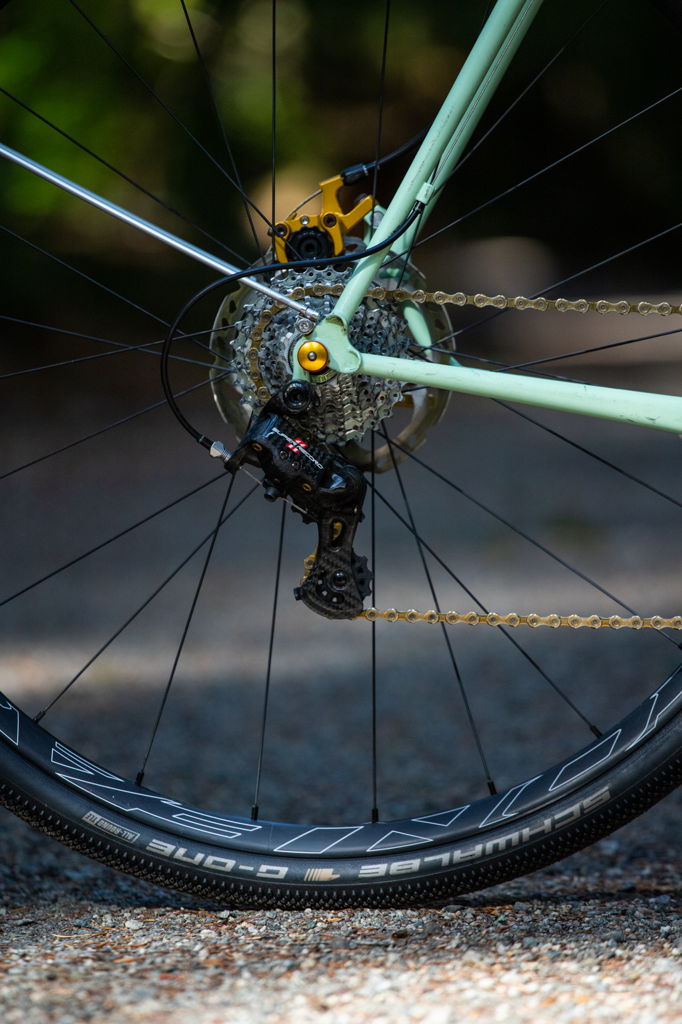 The Tale of the Humongous Rock Lobster – Morgan Taylor | The Radavist ...