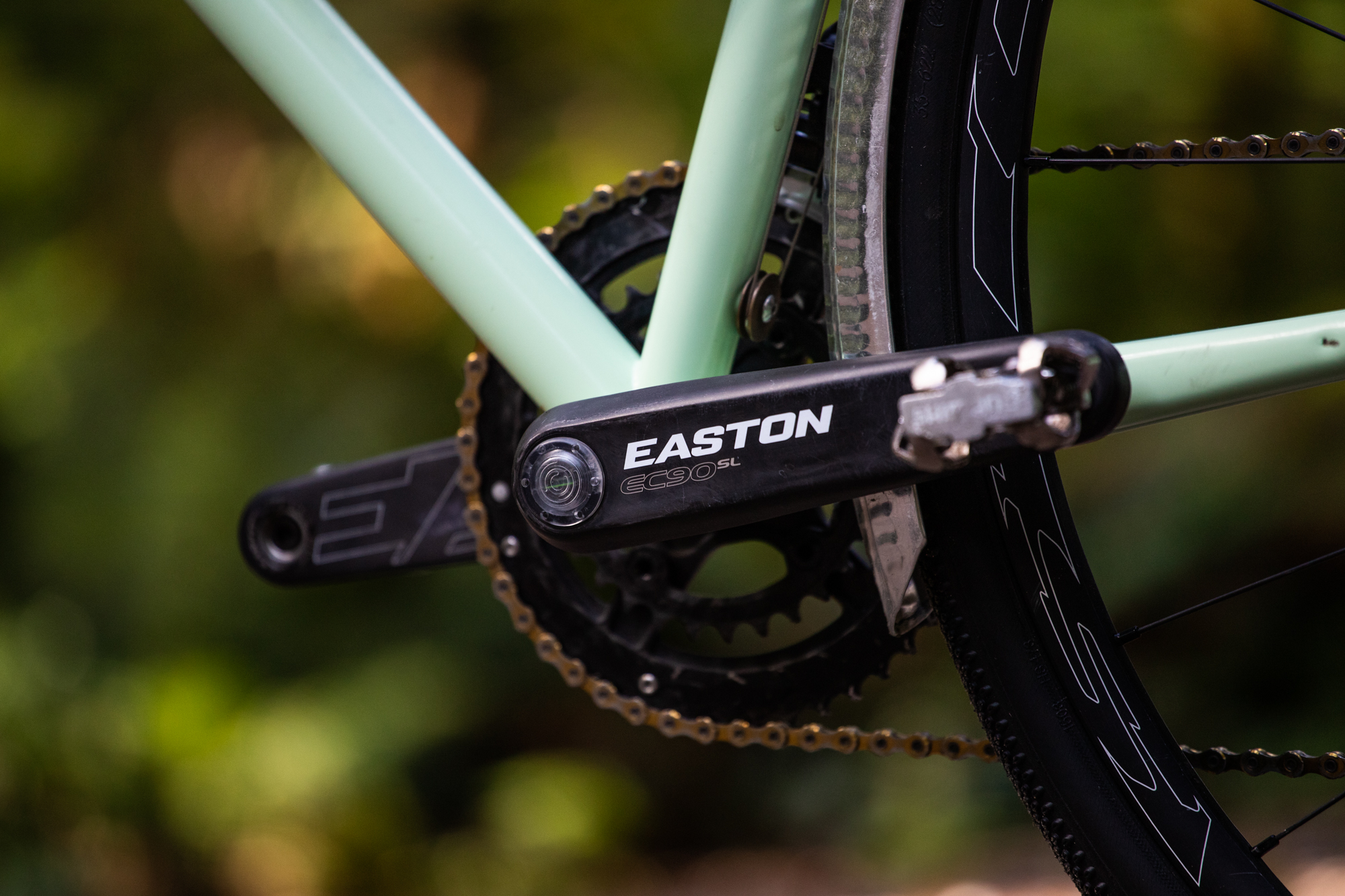 The Tale of the Humongous Rock Lobster – Morgan Taylor | The Radavist ...