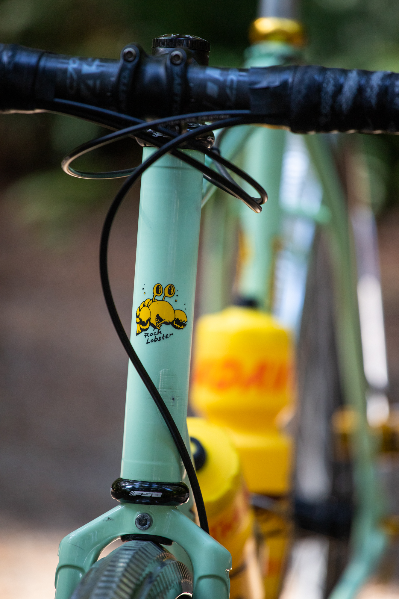 The Tale of the Humongous Rock Lobster – Morgan Taylor | The Radavist ...