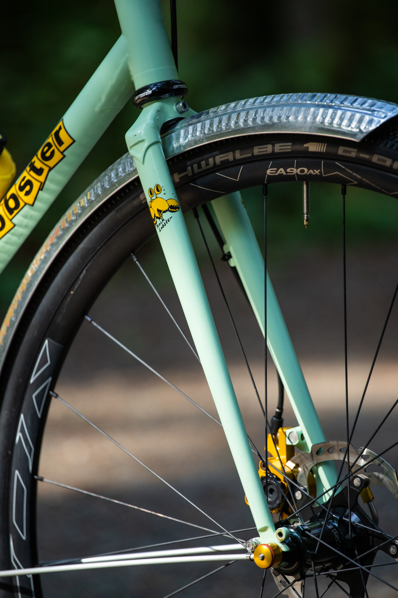 The Tale of the Humongous Rock Lobster – Morgan Taylor | The Radavist ...