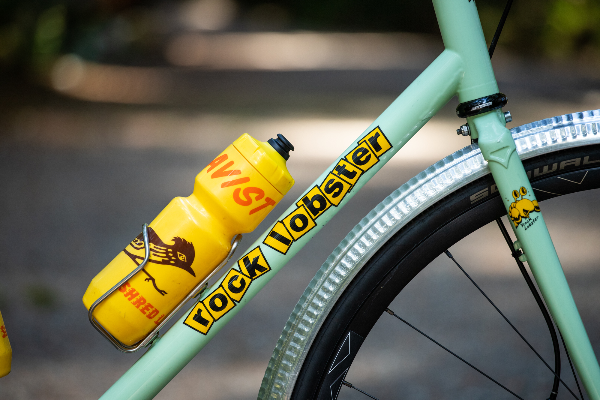 The Tale of the Humongous Rock Lobster – Morgan Taylor | The Radavist ...