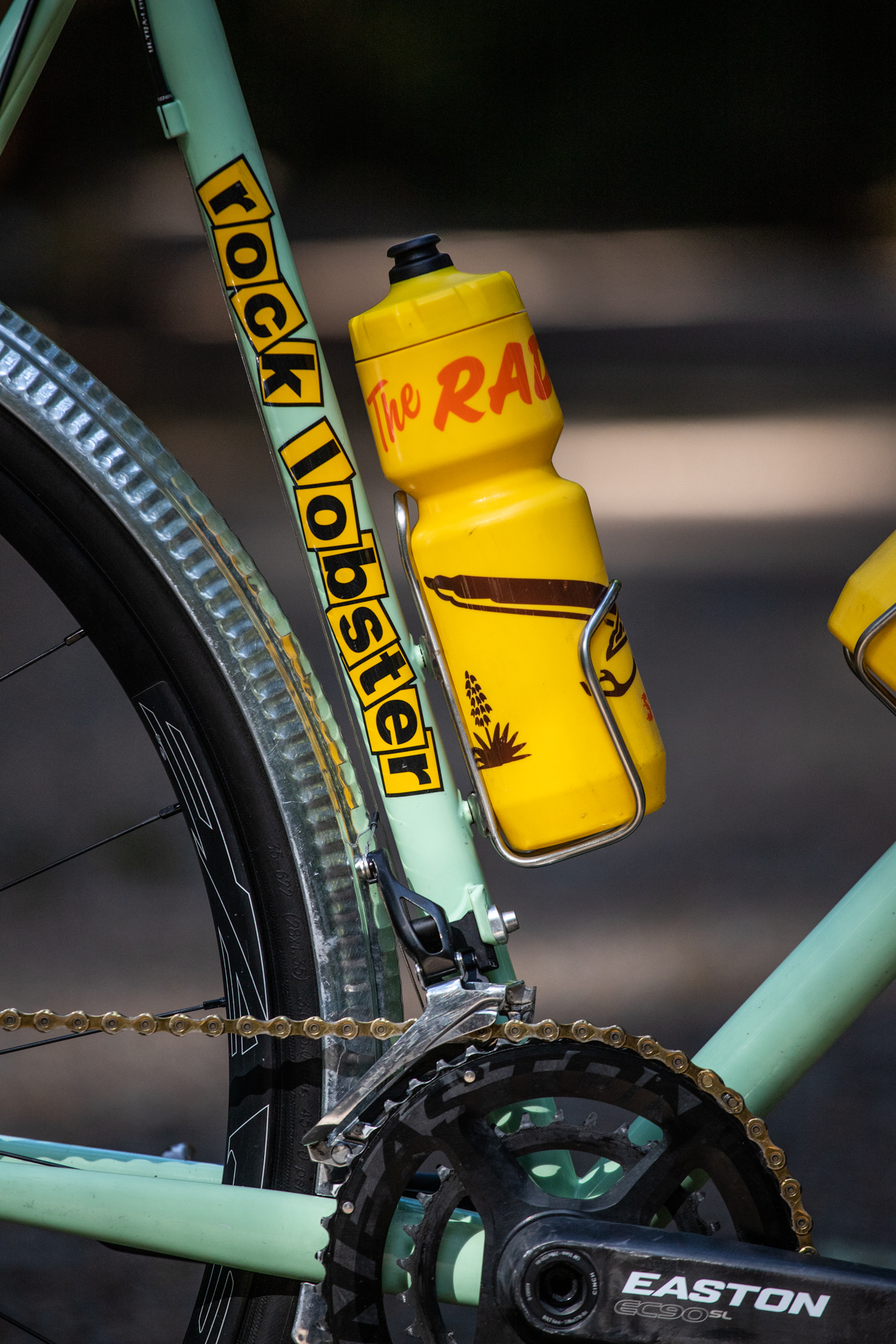 The Tale of the Humongous Rock Lobster – Morgan Taylor | The Radavist ...