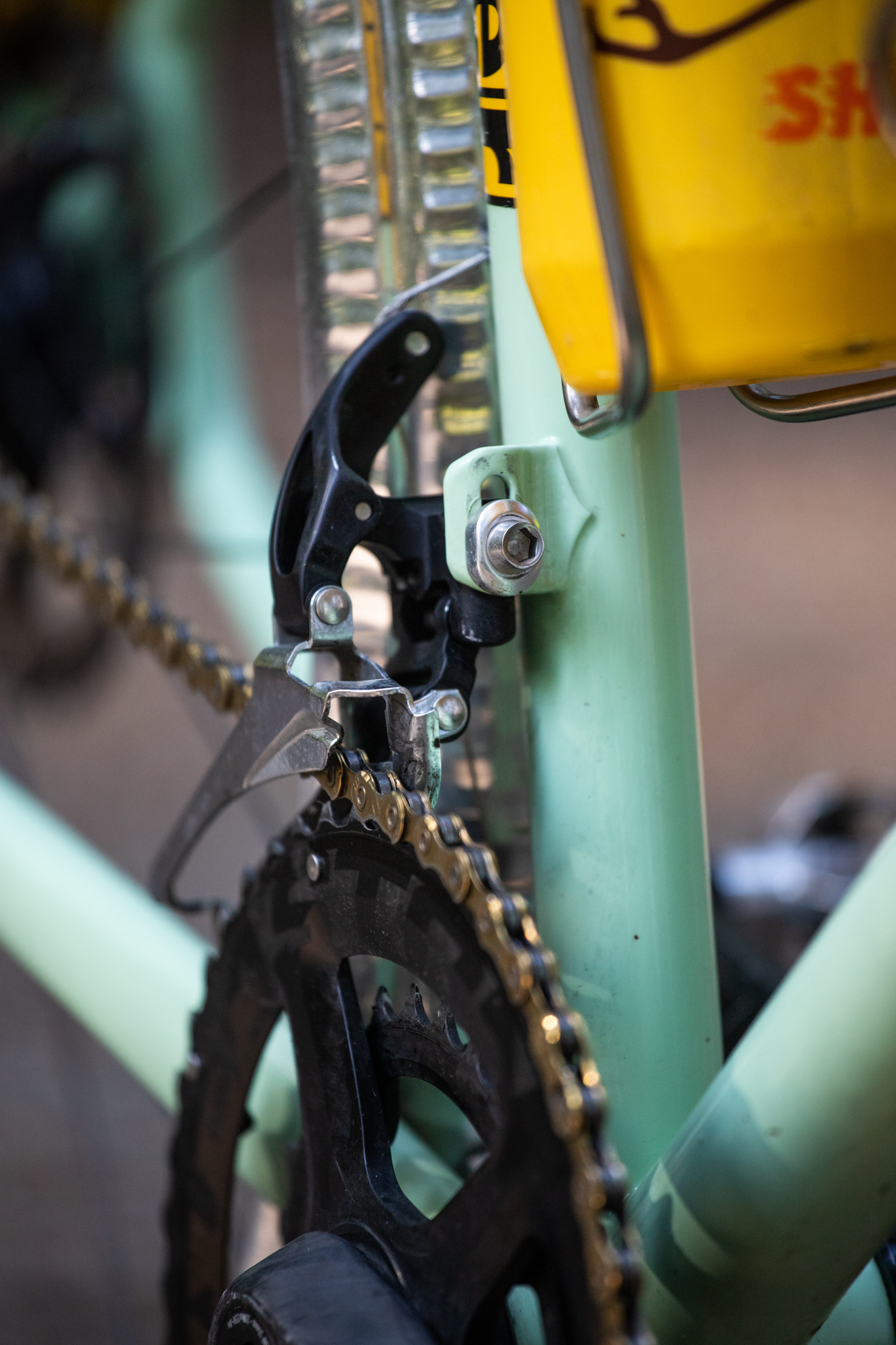 The Tale of the Humongous Rock Lobster – Morgan Taylor | The Radavist ...