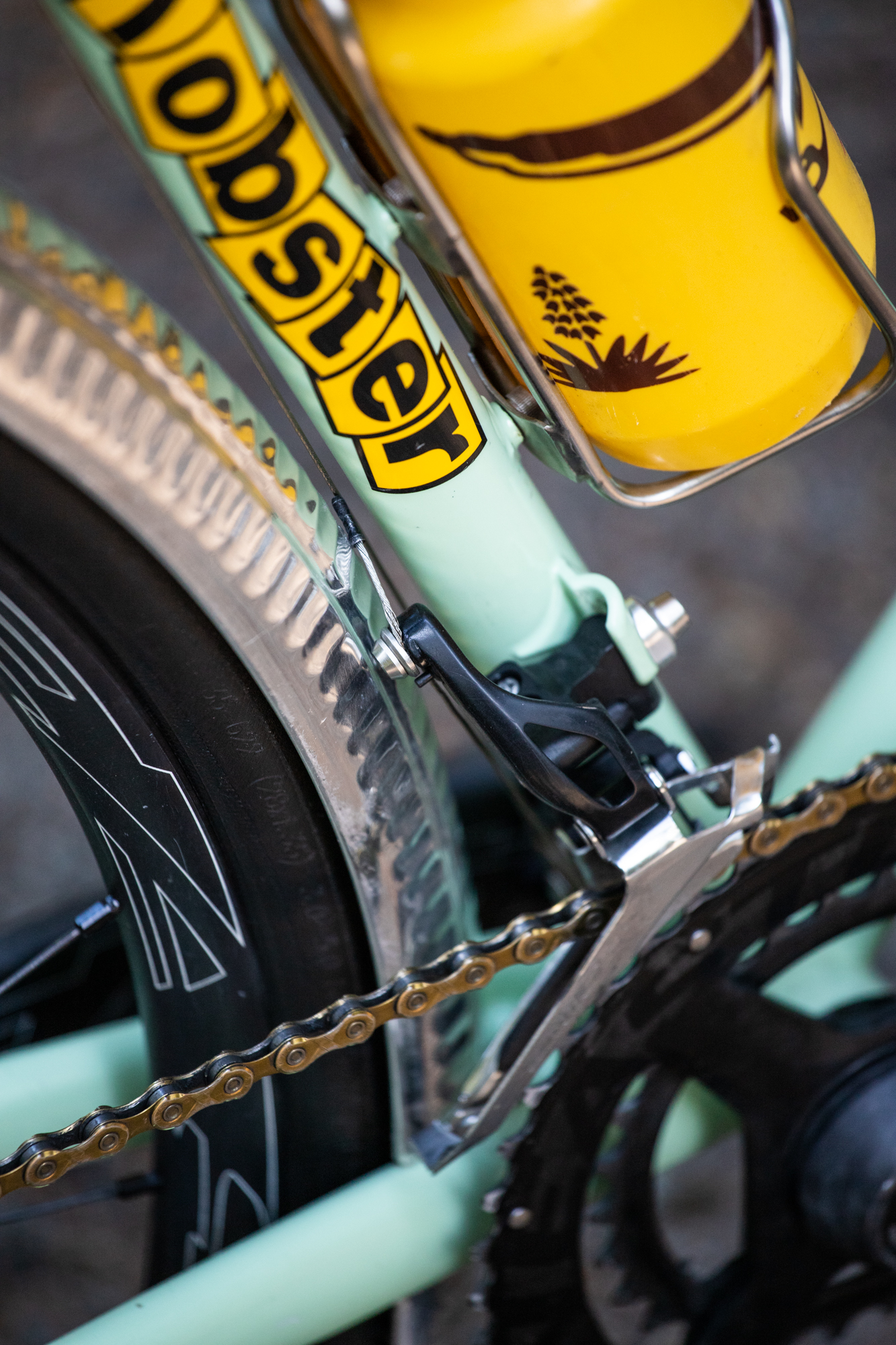 The Tale of the Humongous Rock Lobster – Morgan Taylor | The Radavist ...