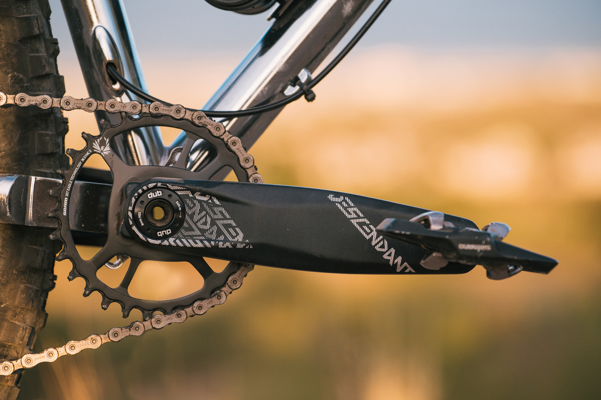 Shining Bright Like a Diamond: A 2024 Transition TransAM Hardtail MTB ...
