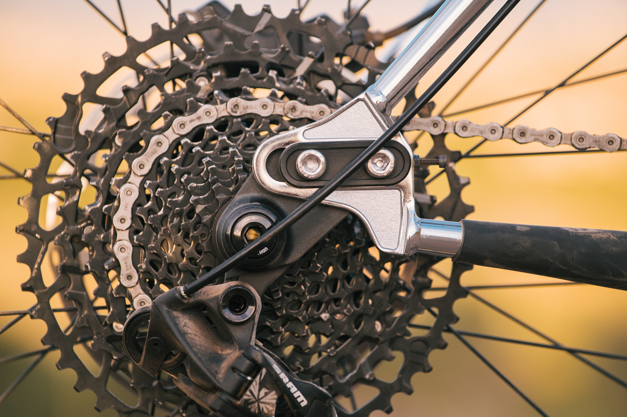 Shining Bright Like a Diamond: A 2024 Transition TransAM Hardtail MTB ...