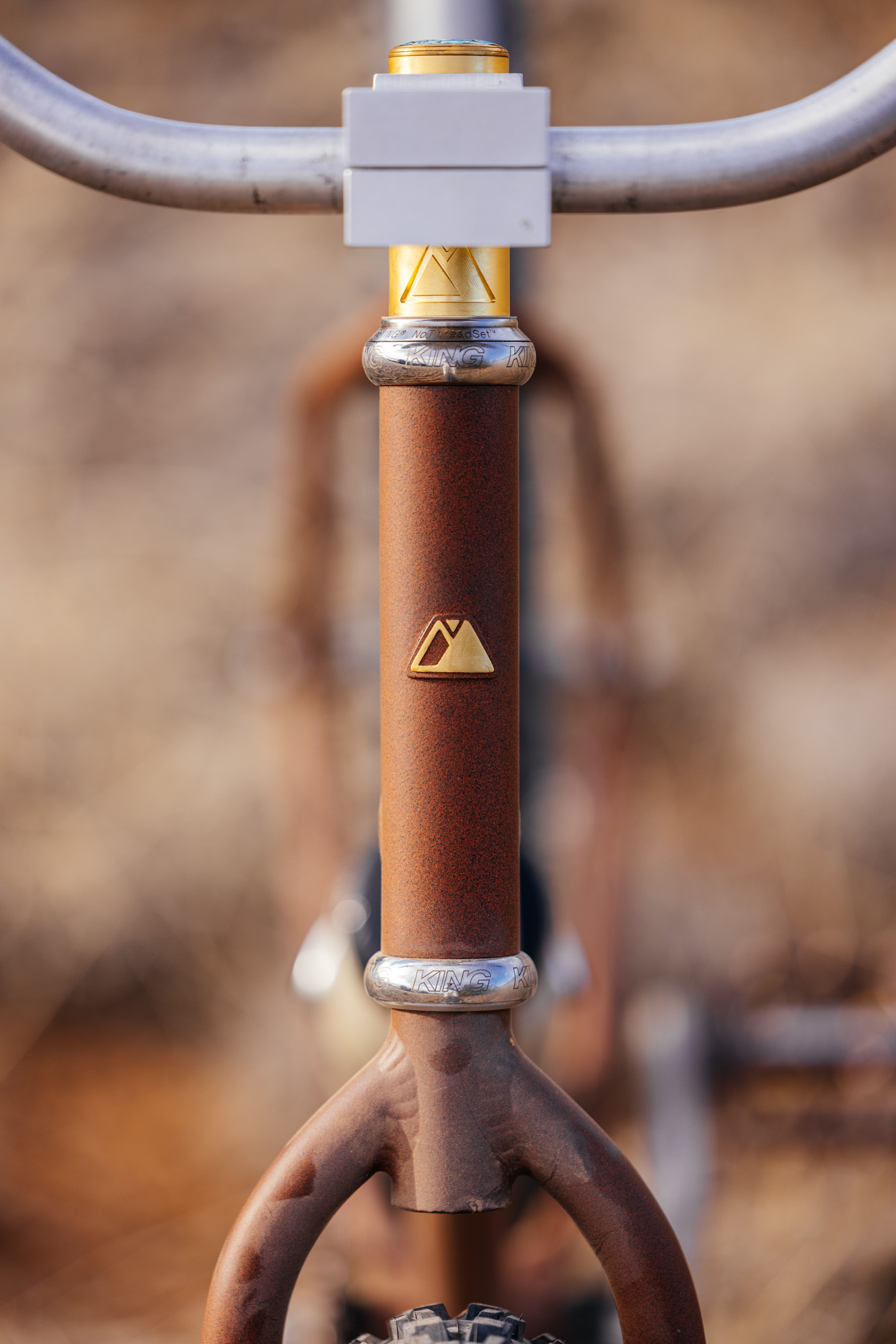 Monē Bikes SB2 Review: Cruisin’ for a Bruisin’ – John Watson & Cari ...