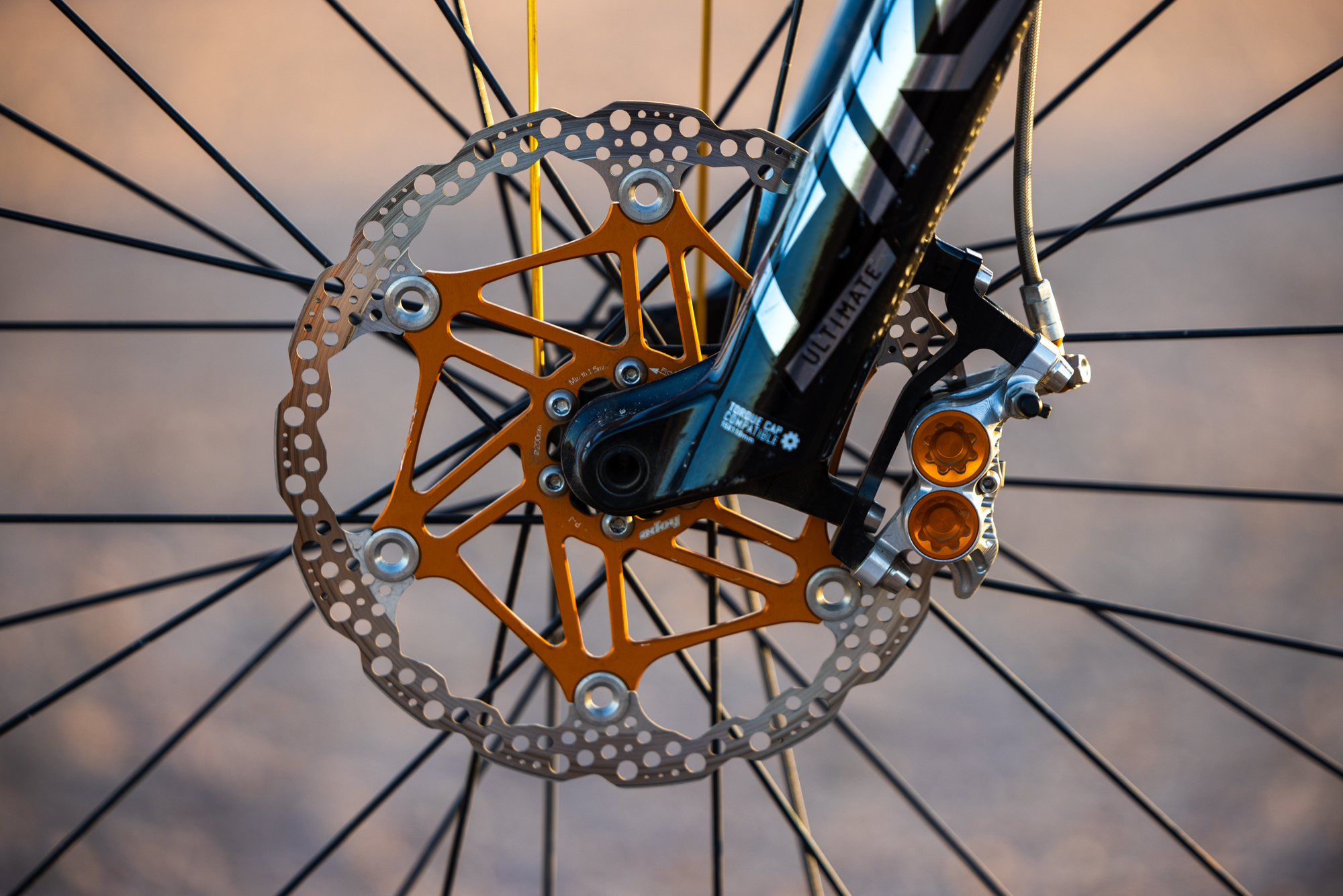 Forever Bike: Josh’s Custom Oddity Singlespeed With Ignite Components ...