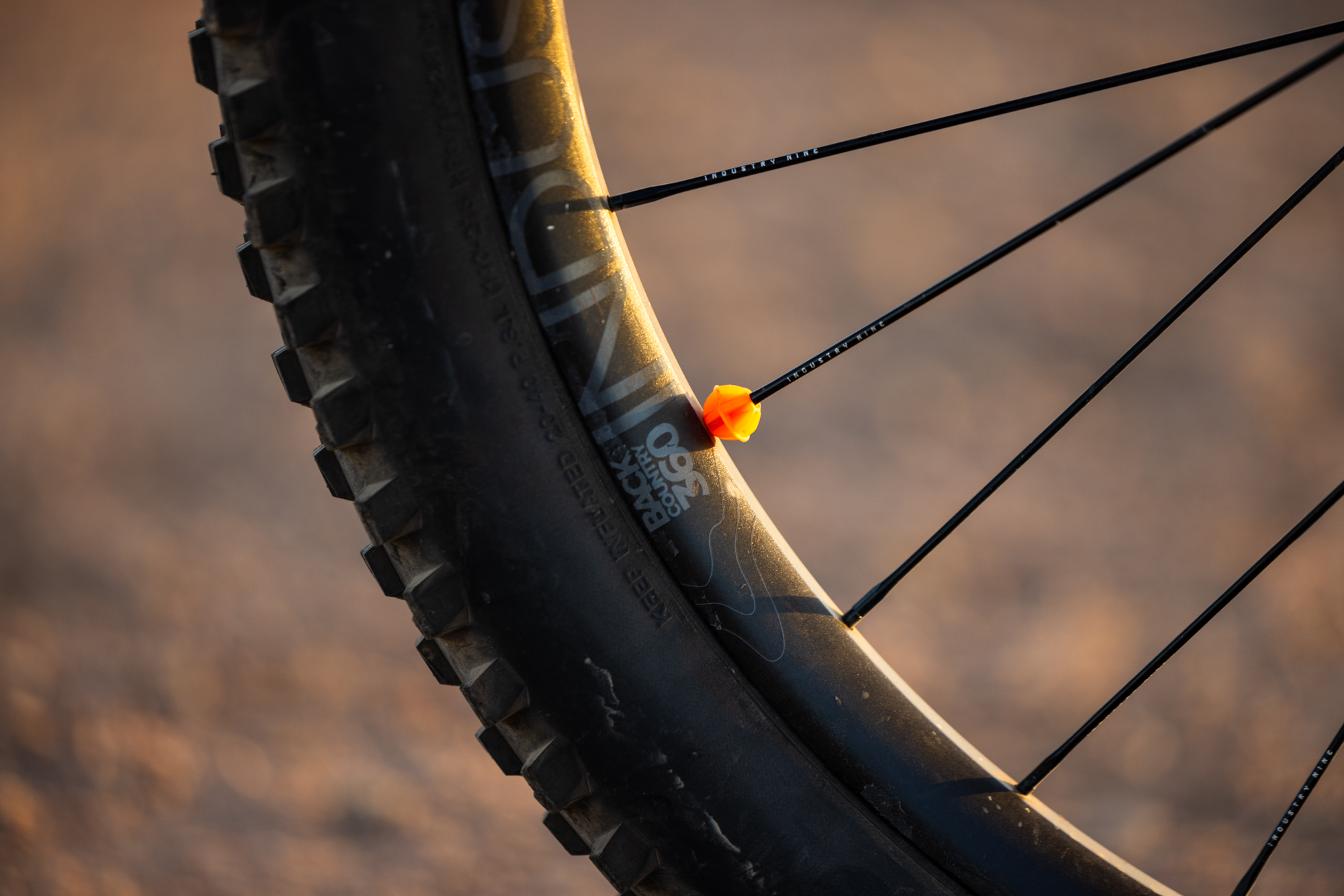 Forever Bike: Josh’s Custom Oddity Singlespeed With Ignite Components ...