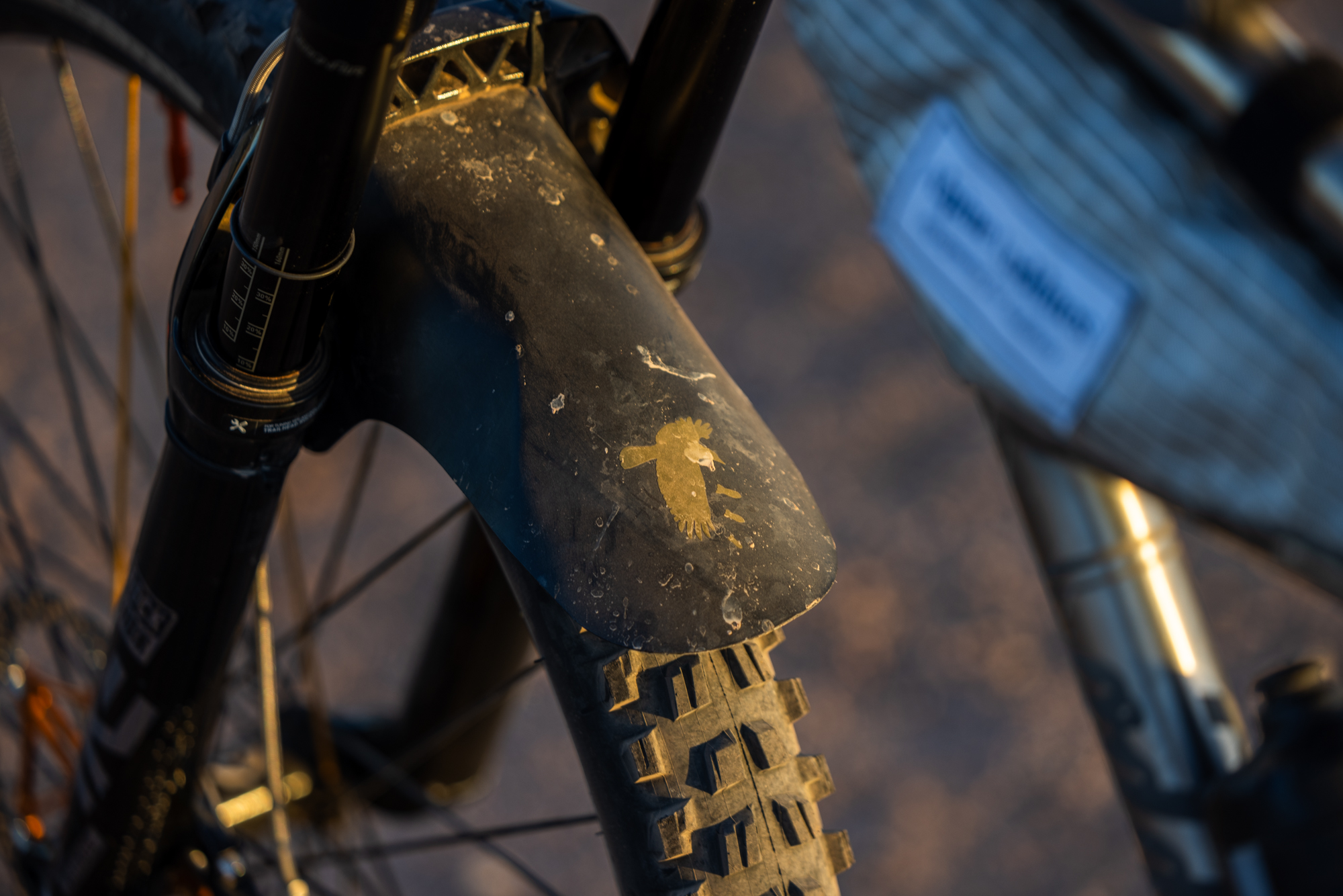 Forever Bike: Josh’s Custom Oddity Singlespeed With Ignite Components ...