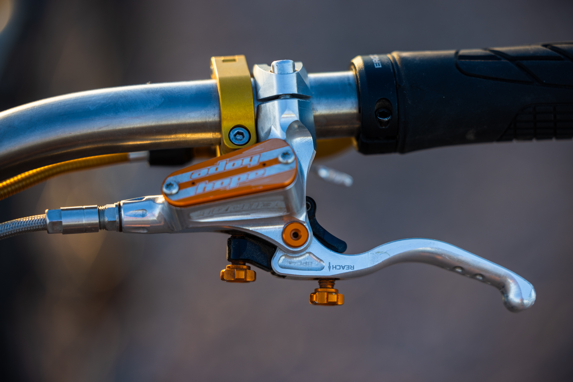 Forever Bike: Josh’s Custom Oddity Singlespeed With Ignite Components ...