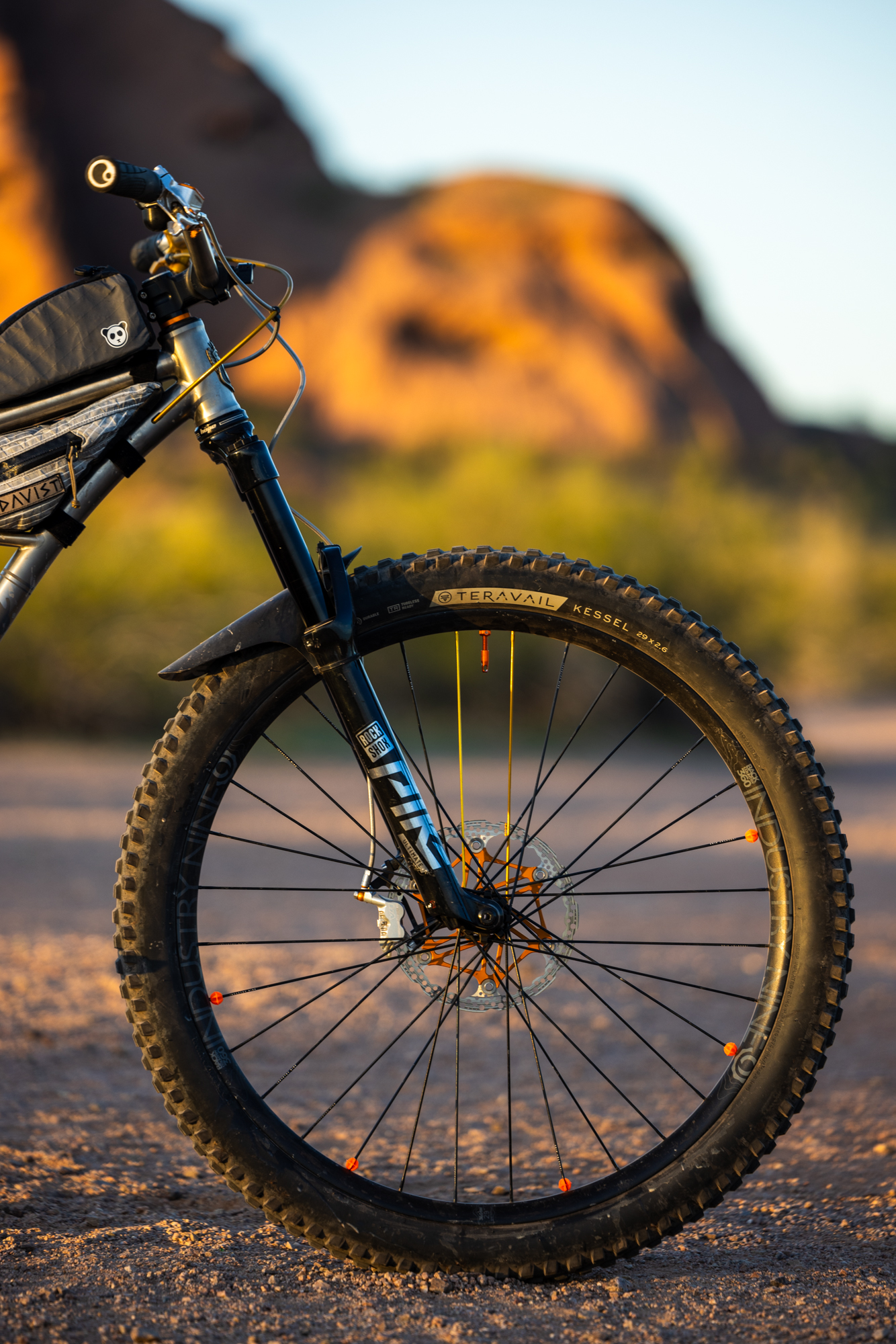 Forever Bike: Josh’s Custom Oddity Singlespeed With Ignite Components ...