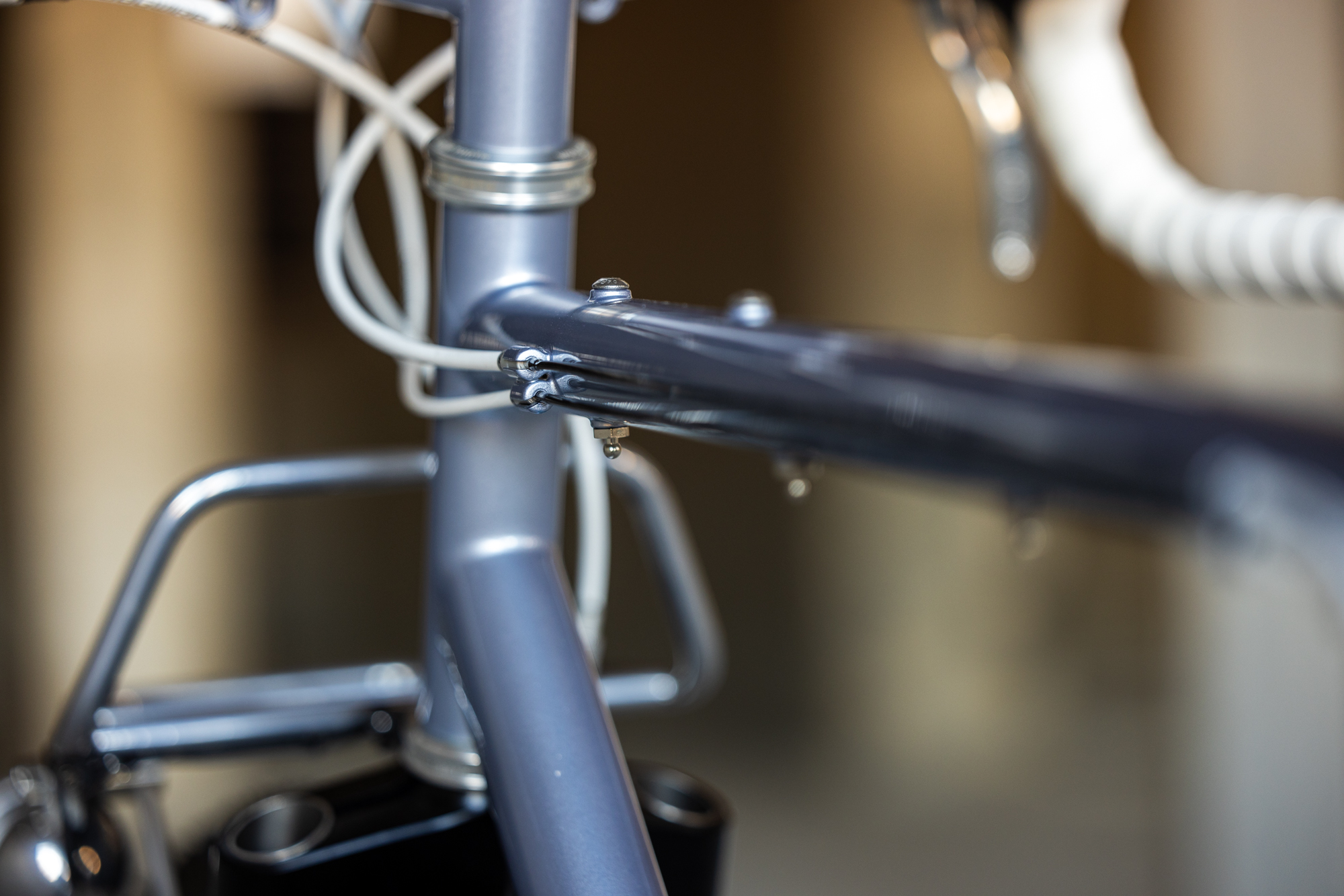 2024 Bespoked Dresden: A Special Fern Bicycles Chuck Gravel Touring ...