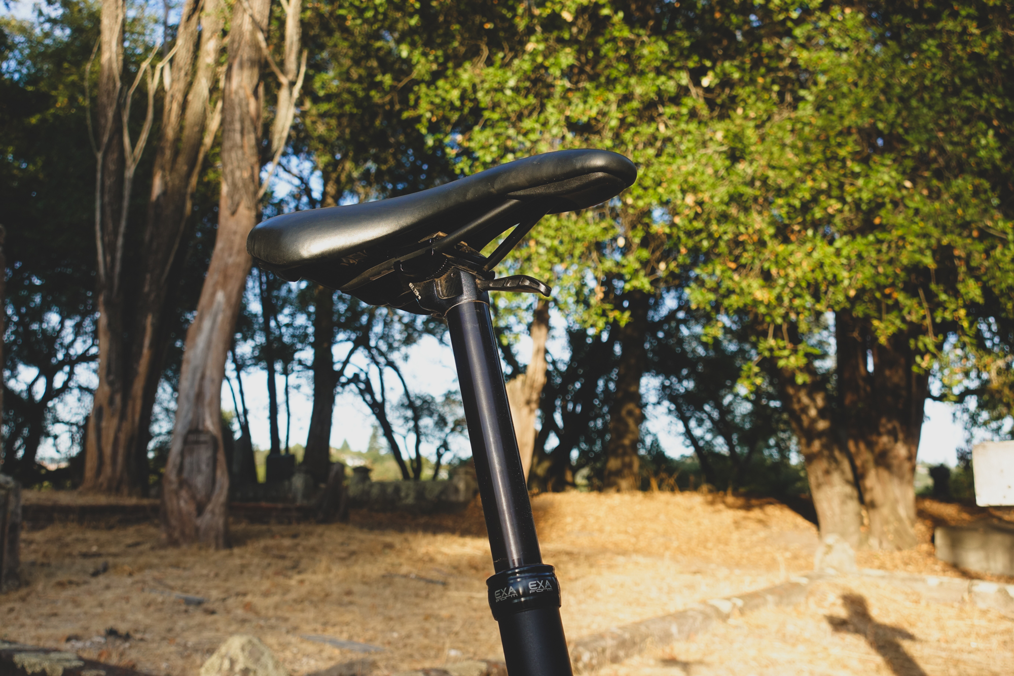 Kyoot Itty Bitty Review: Massive Fun on Mini Wheels – Nicholas Haig ...