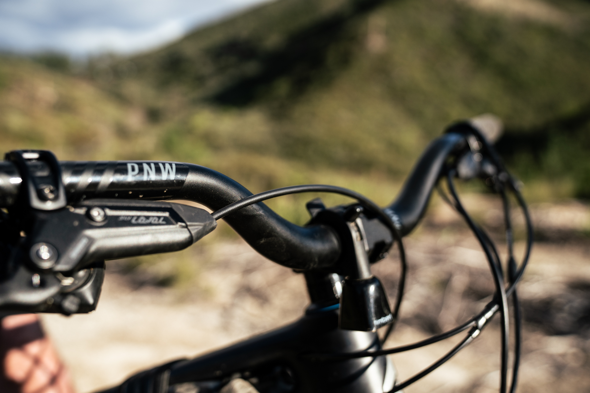 First Ride Review: 2025 Ari Signal Peak – Travis Engel | The Radavist ...