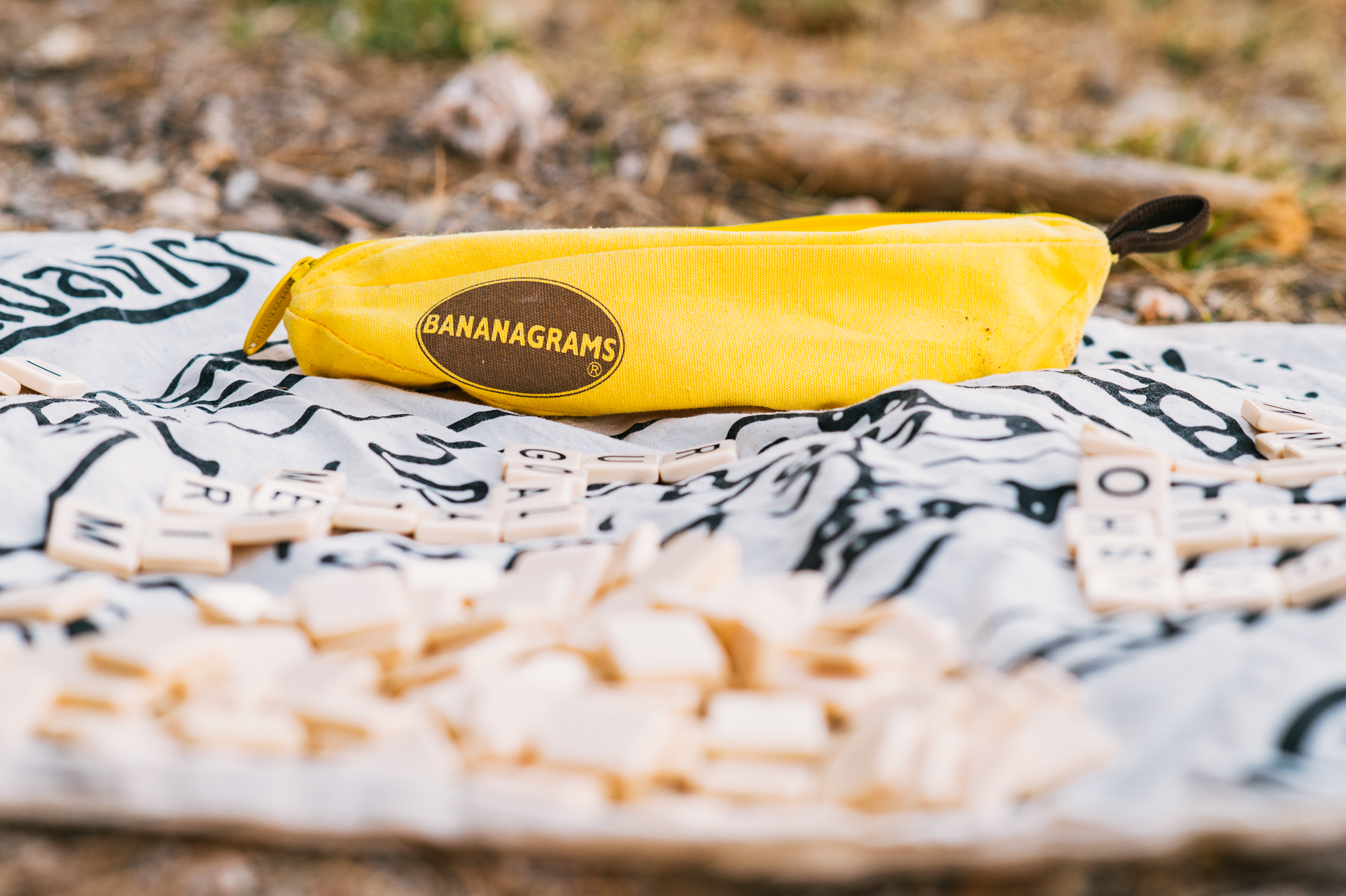 5 Bikepackable Board Games For Your Next Bike Trip – Blix Croell | The ...