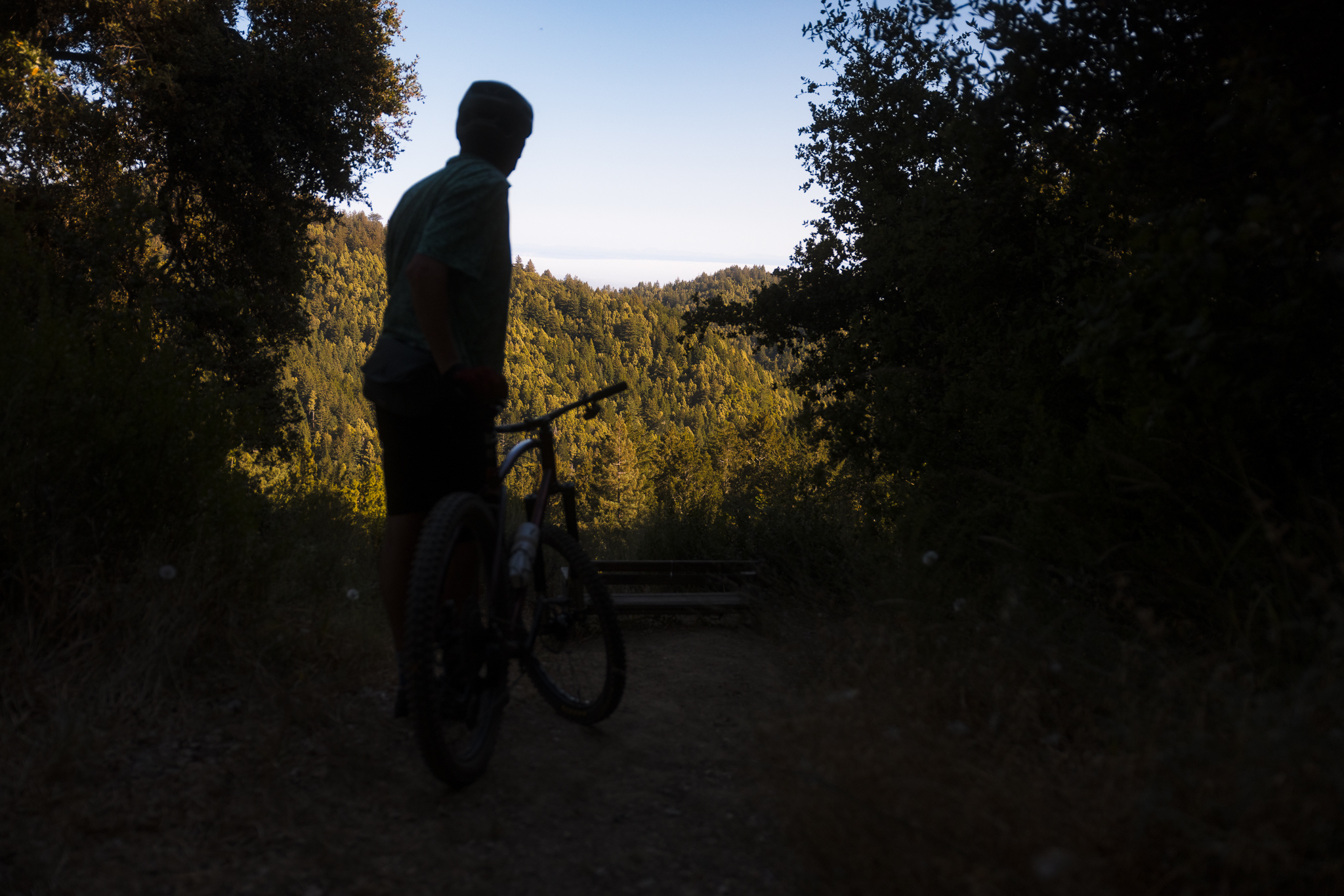 The Kroozr Brake: Tree’s Retrotec Kickback-Actuated Disc Brake ...