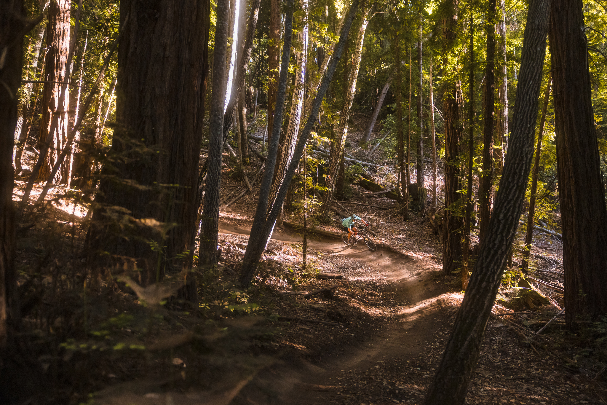 The Kroozr Brake: Tree’s Retrotec Kickback-Actuated Disc Brake ...