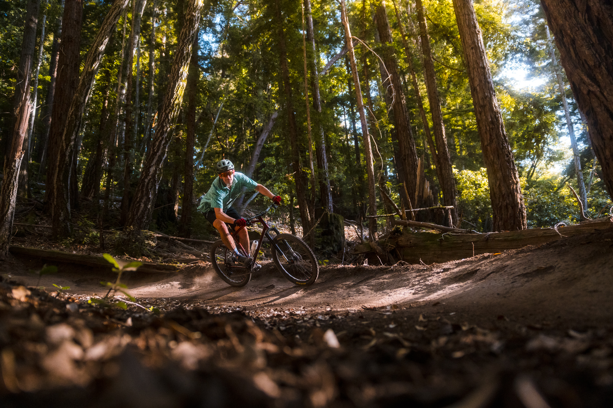 The Kroozr Brake: Tree’s Retrotec Kickback-Actuated Disc Brake ...