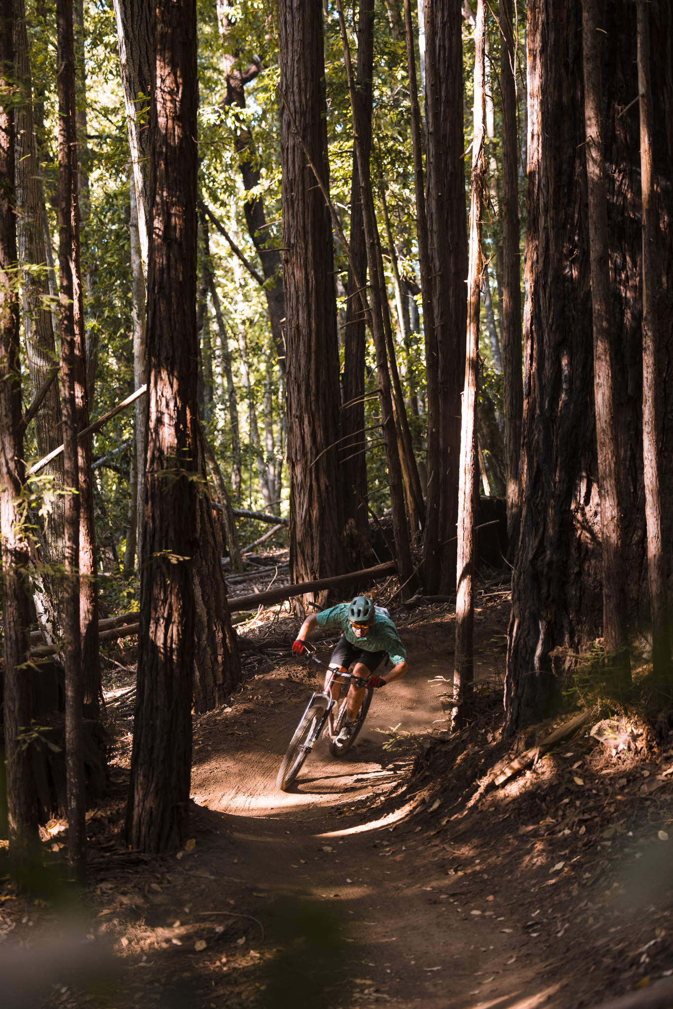 The Kroozr Brake: Tree’s Retrotec Kickback-Actuated Disc Brake ...