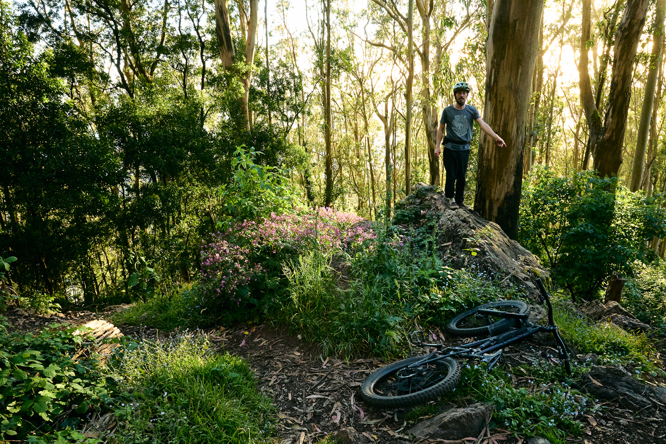 Crank Length: Fad or Function? – Alex Steadman | The Radavist | A group ...