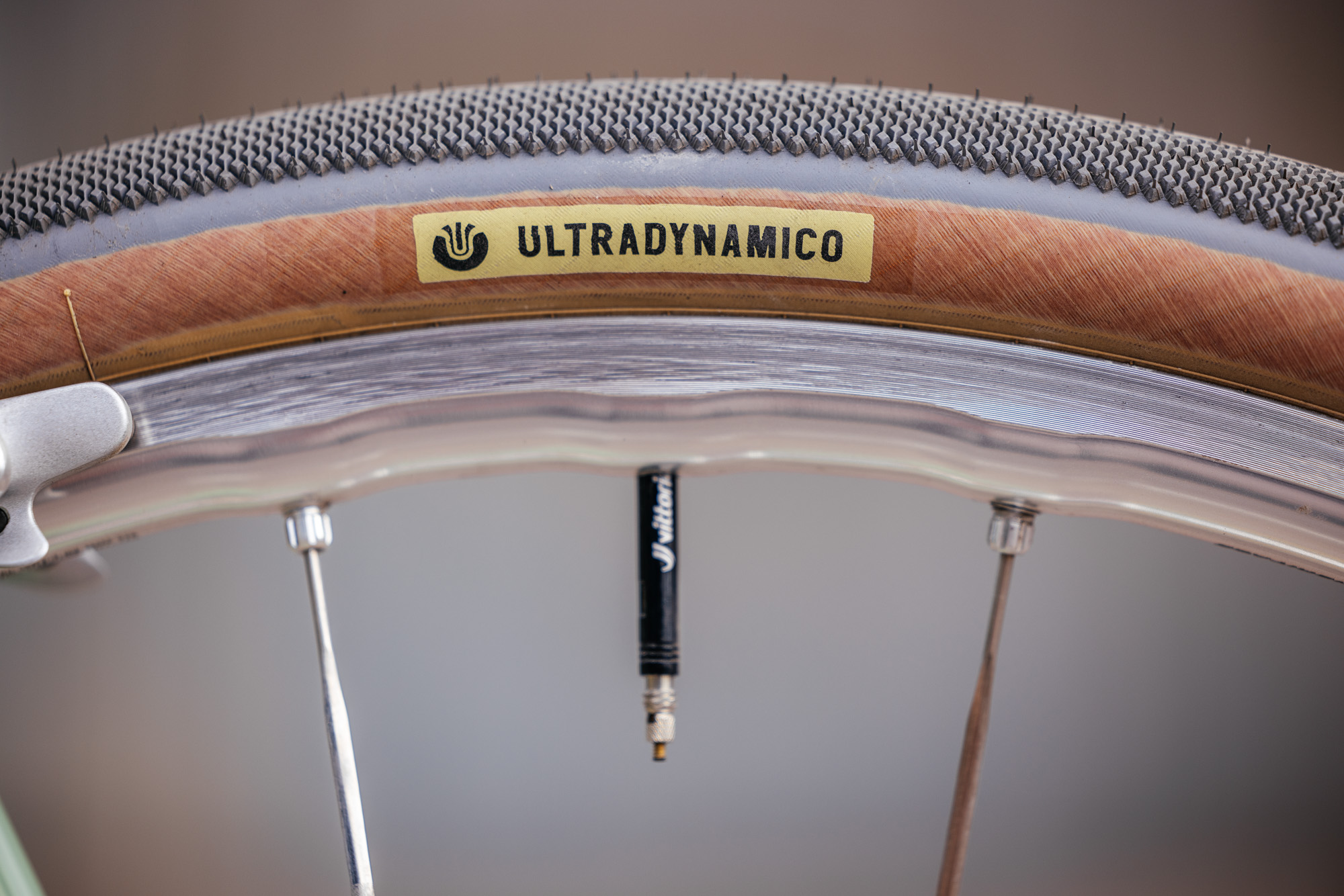 Ronnie Romance and His Hint o’ Mint Safari Rons CR1 Country Road Bike ...