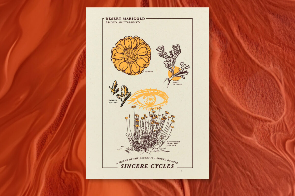 Mordecai Books for Sincere Cycles | The Radavist | A group of ...