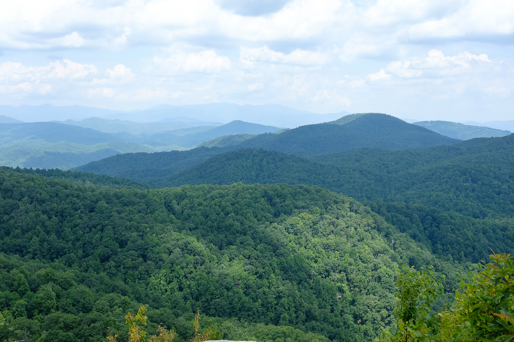 Weed Patch Mountain: Destruction and Recovery in Lake Lure, NC – Andy ...
