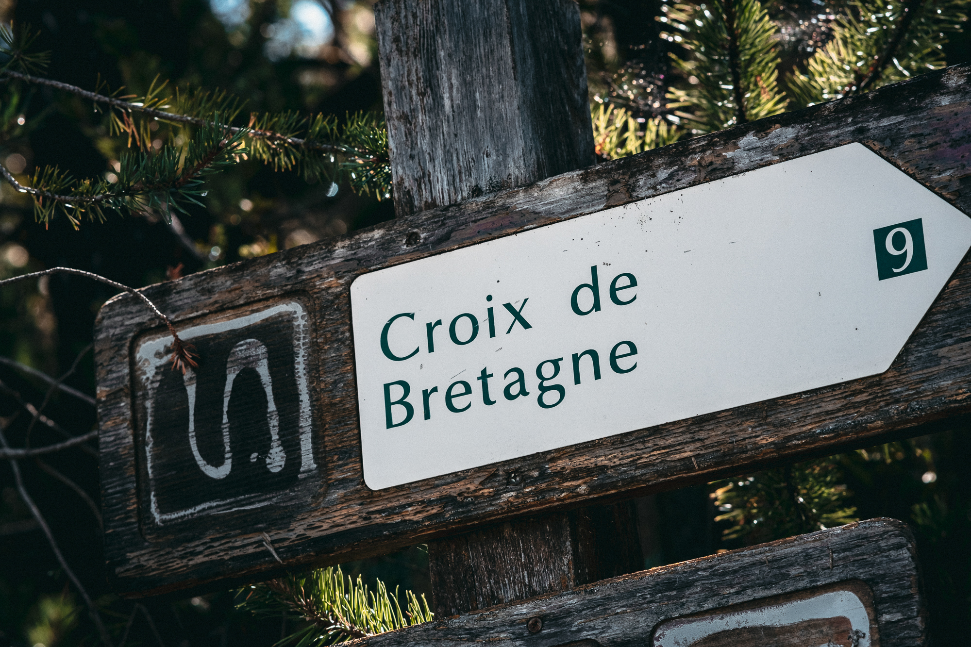 Le Pilgrimage Gravel 2025: Beautifully Brutal – Simon Rosemolen, Cyril ...