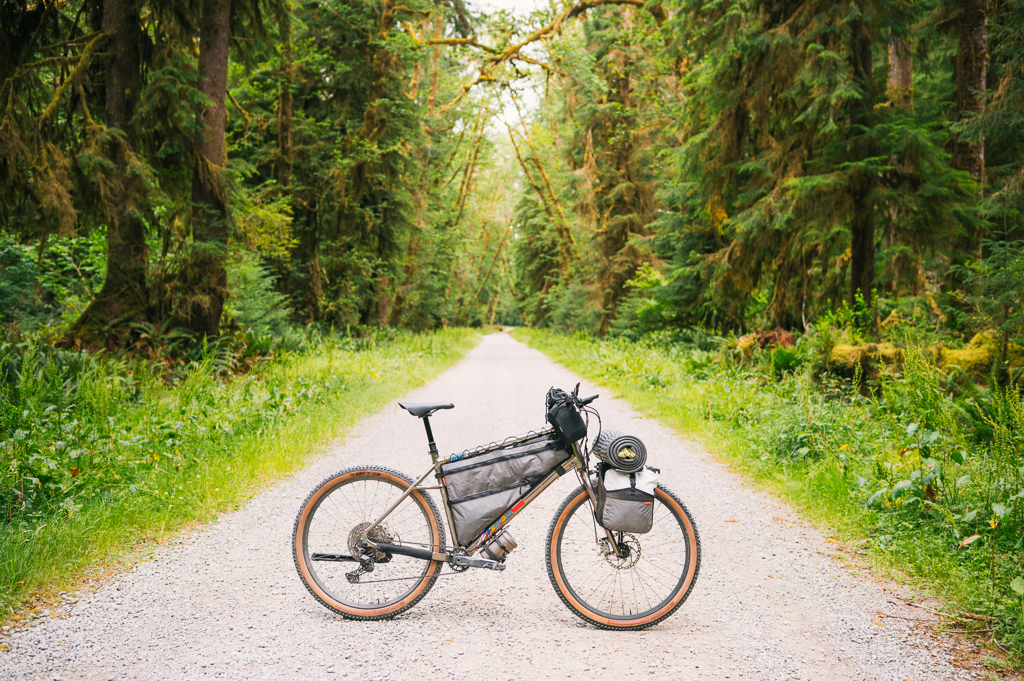 Rockgeist Custom Framebag and Microwave Panniers: Spencer’s Dream ...
