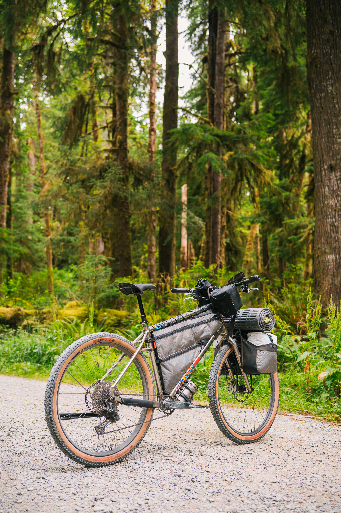 Rockgeist Custom Framebag and Microwave Panniers: Spencer’s Dream ...