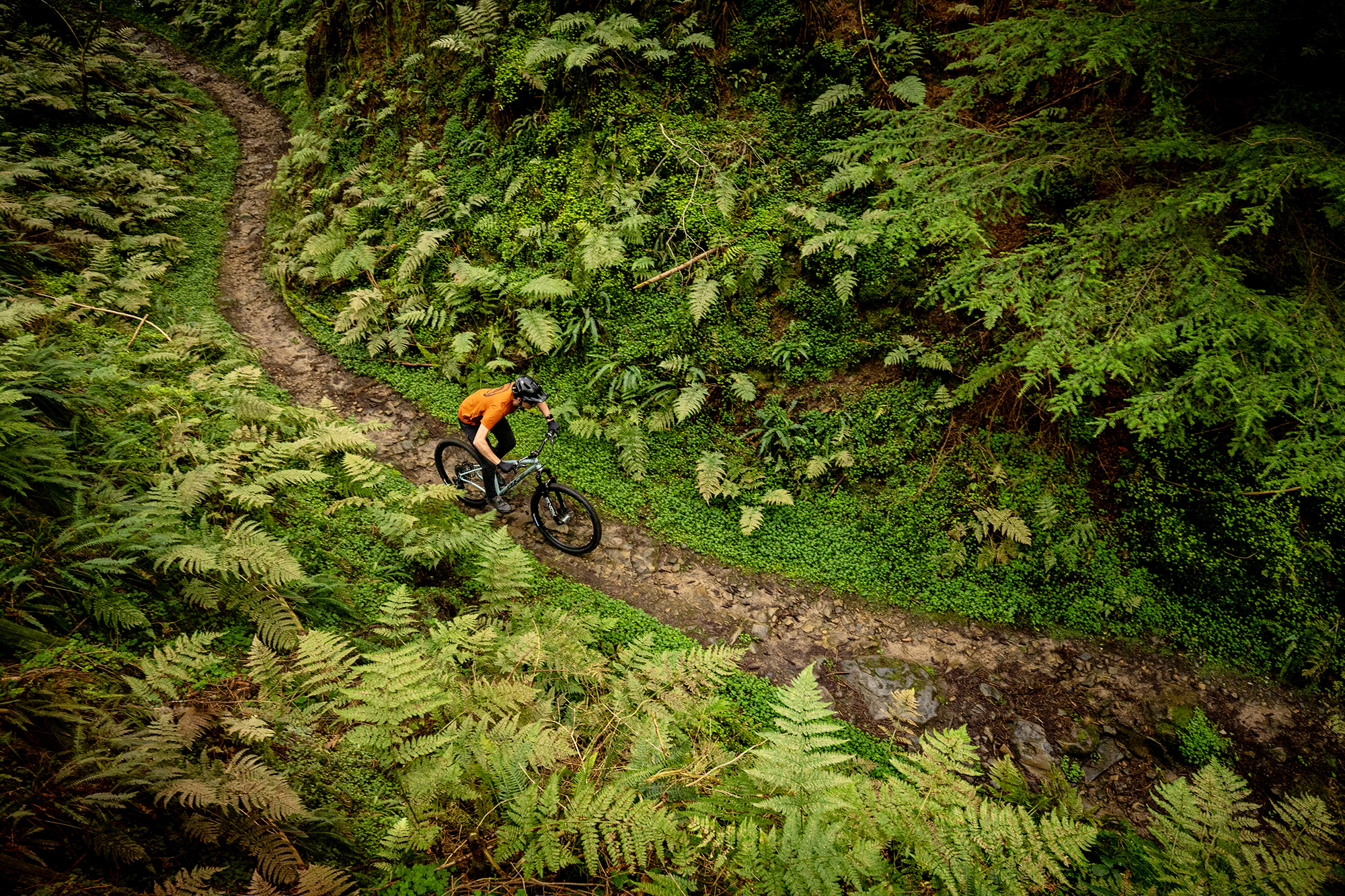Pace Cycles New Colors for the RC629 Hardtail | The Radavist | A group ...