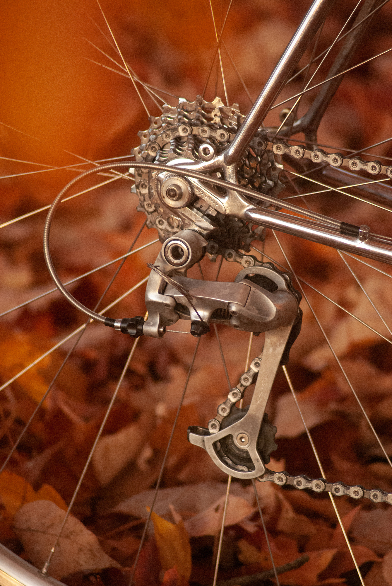 Readers’ Rides: Eric Marth’s Raleigh International | The Radavist | A ...